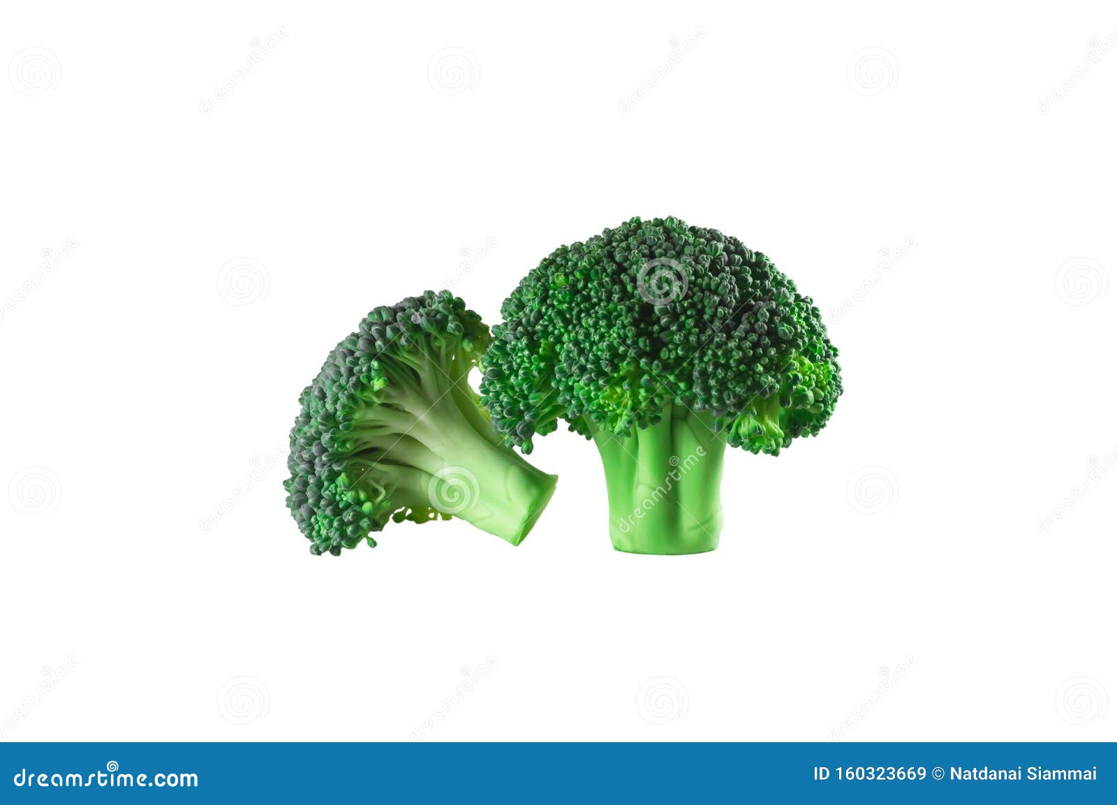 Two Broccoli Slices Isolated on White Background Stock Image - Image of ...
