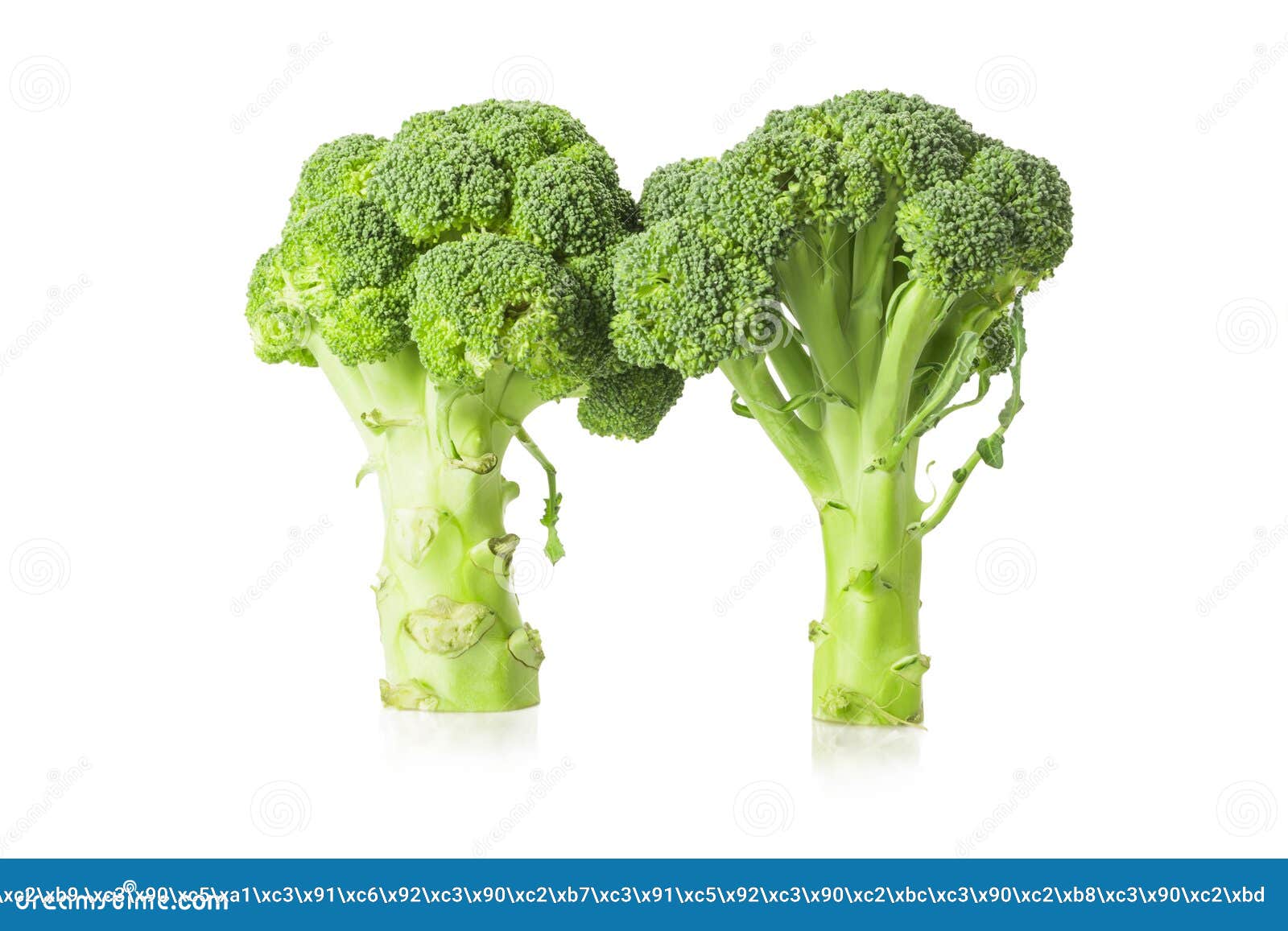 Two broccoli stock image. Image of market, nature, backgrounds - 51821943