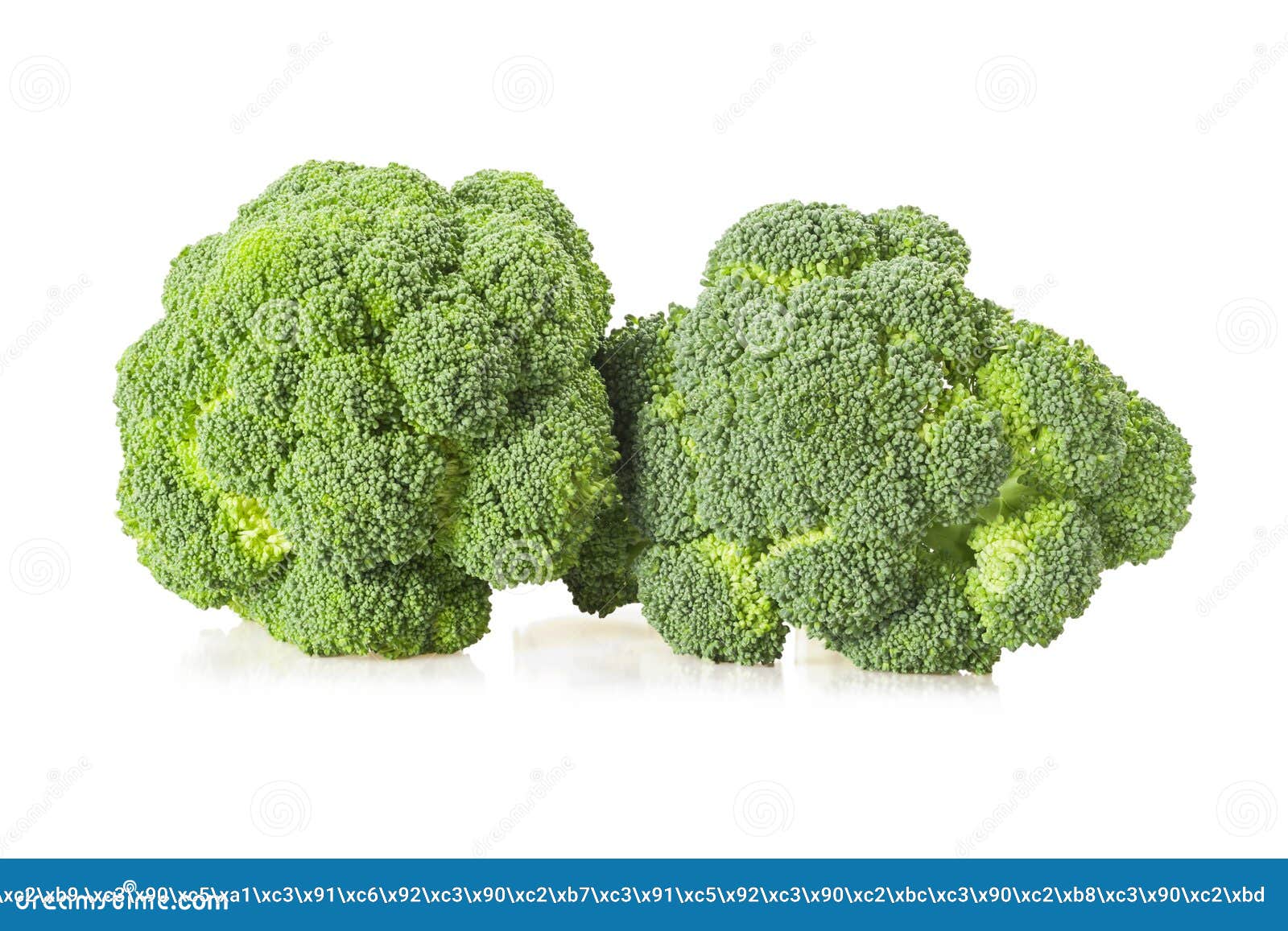 Two broccoli stock photo. Image of ripe, nature, healthy - 51822102
