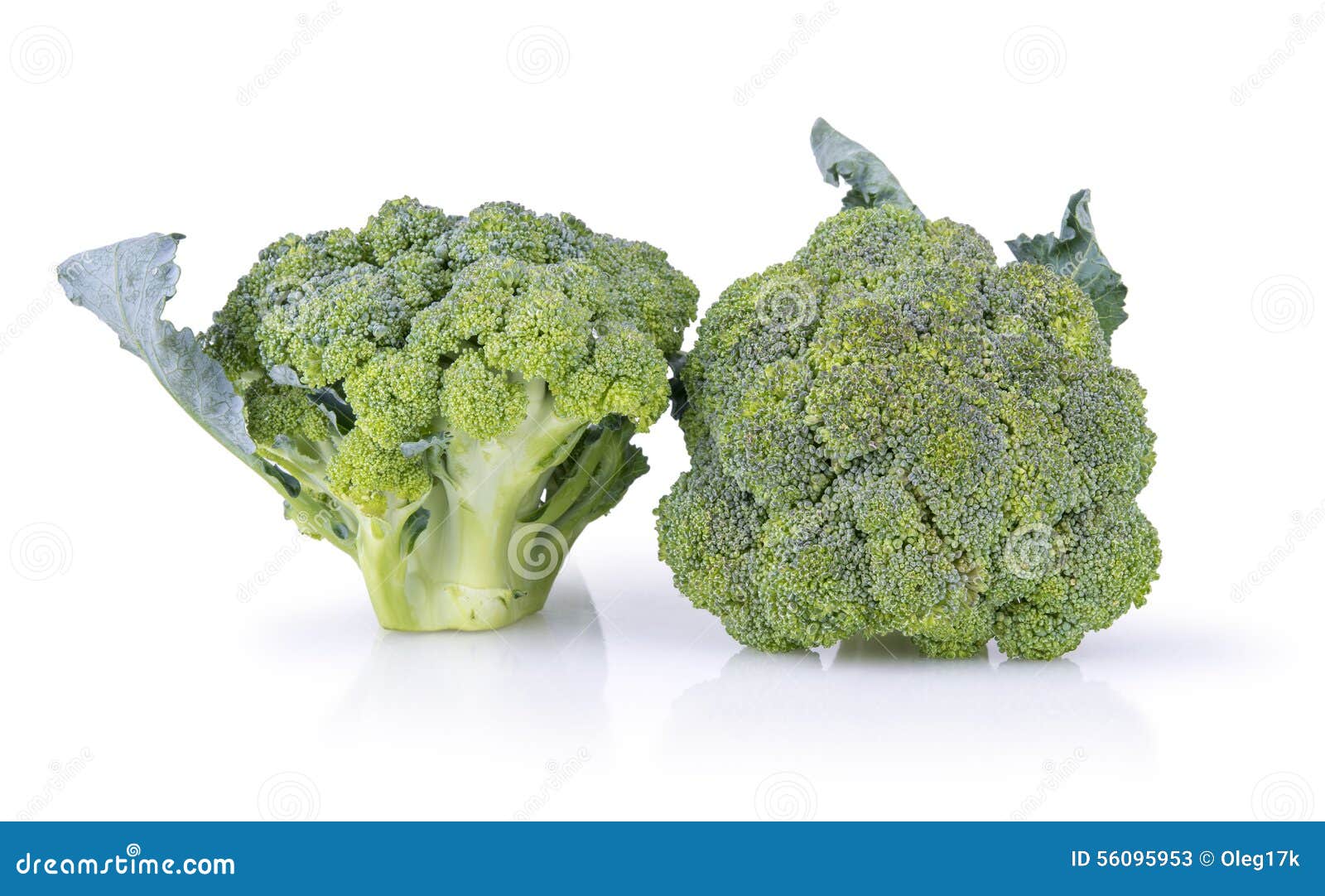 Two Broccoli on a White Background Stock Image - Image of vitamin ...