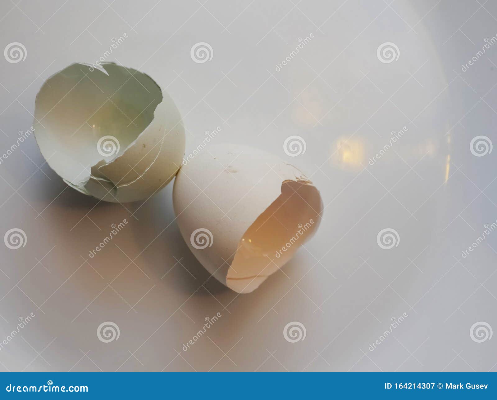 Empty Egg Shell on a White Plate. Stock Image - Image of life, shell ...