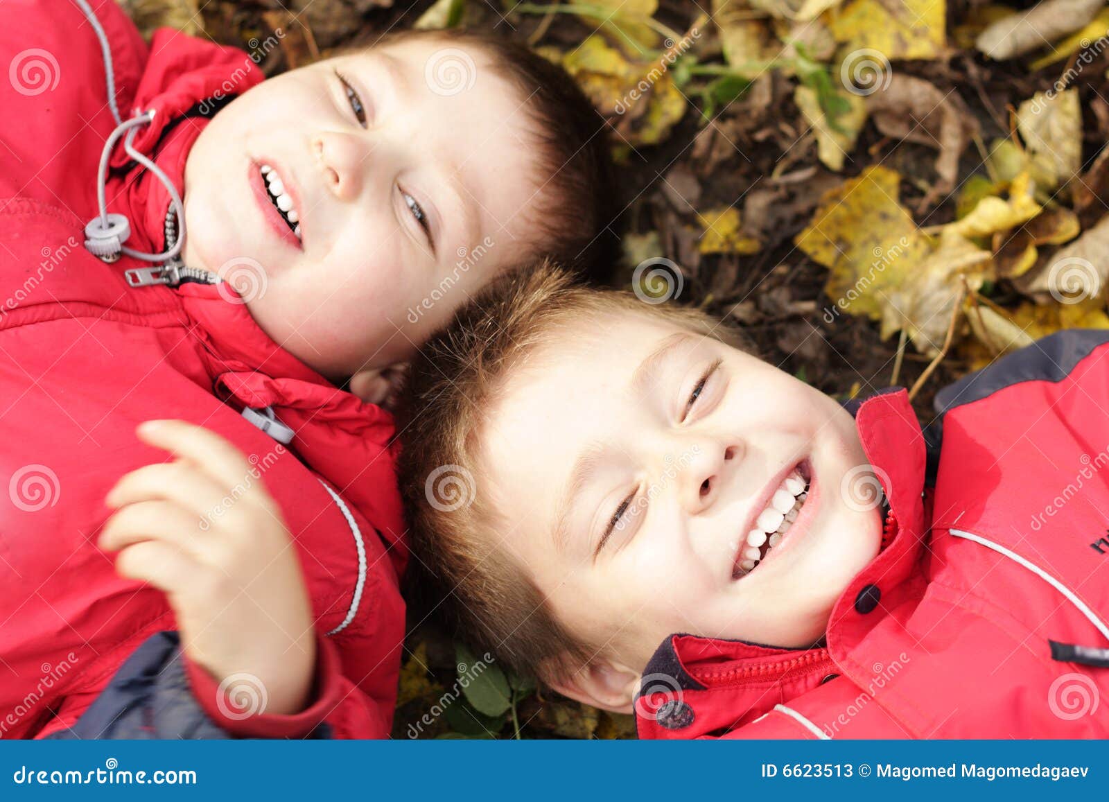 Two brothers stock image. Image of little, happy, soft - 6623513