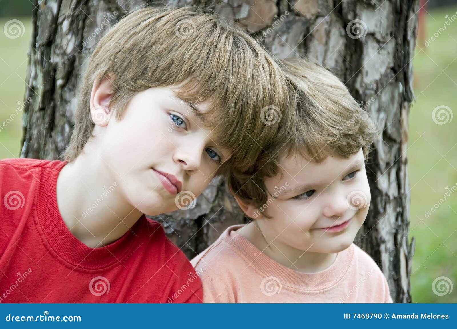 Two brothers stock photo. Image of holding, brothers, children - 7468790
