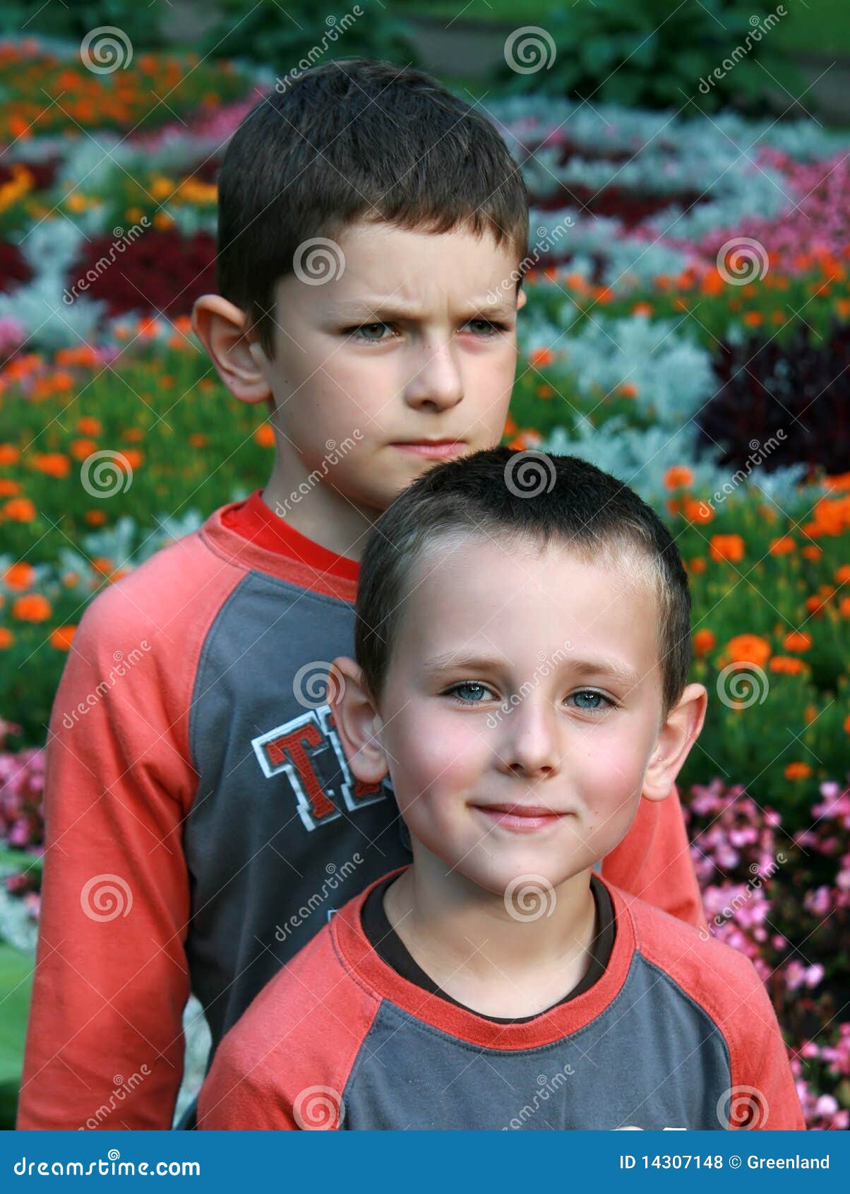 Two Brothers - Best Friends Stock Photo - Image of friend, eyes: 14307148