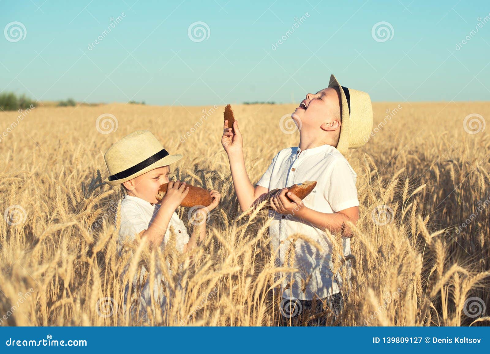 Two Brothers Eat Black Round Bread on a Wheat Field. Stock Image ...
