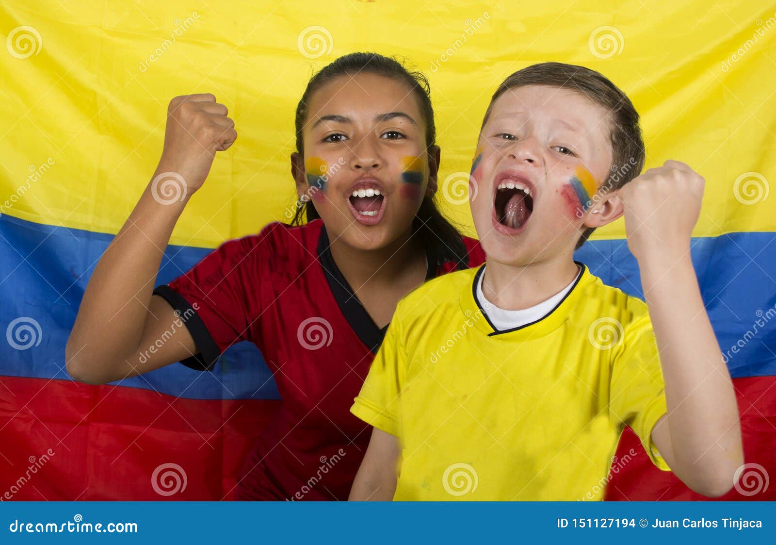 Two brothers with the flag stock photo. Image of child - 151127194