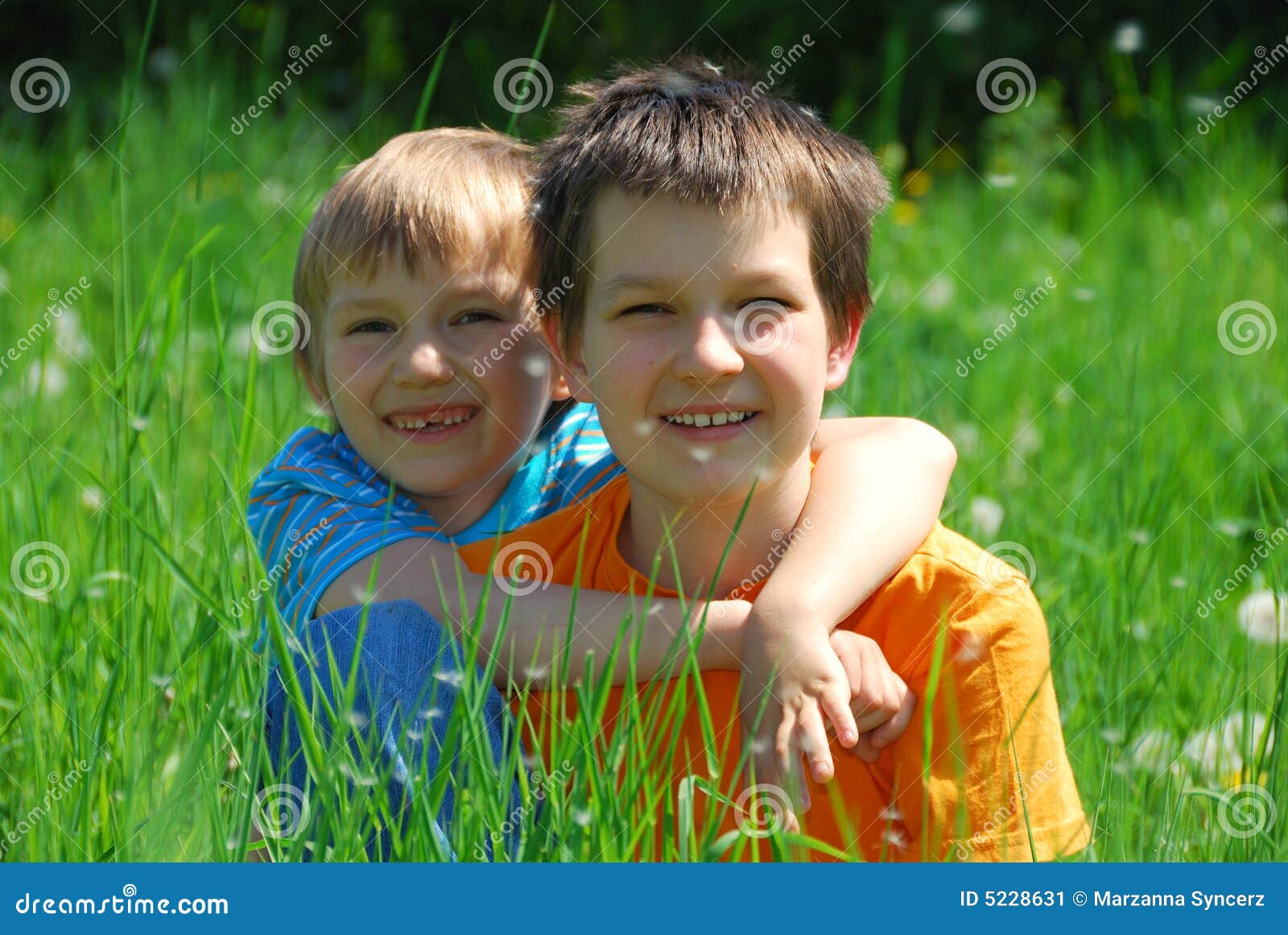 Two brothers in meadow stock image. Image of embrace, portrait - 5228631