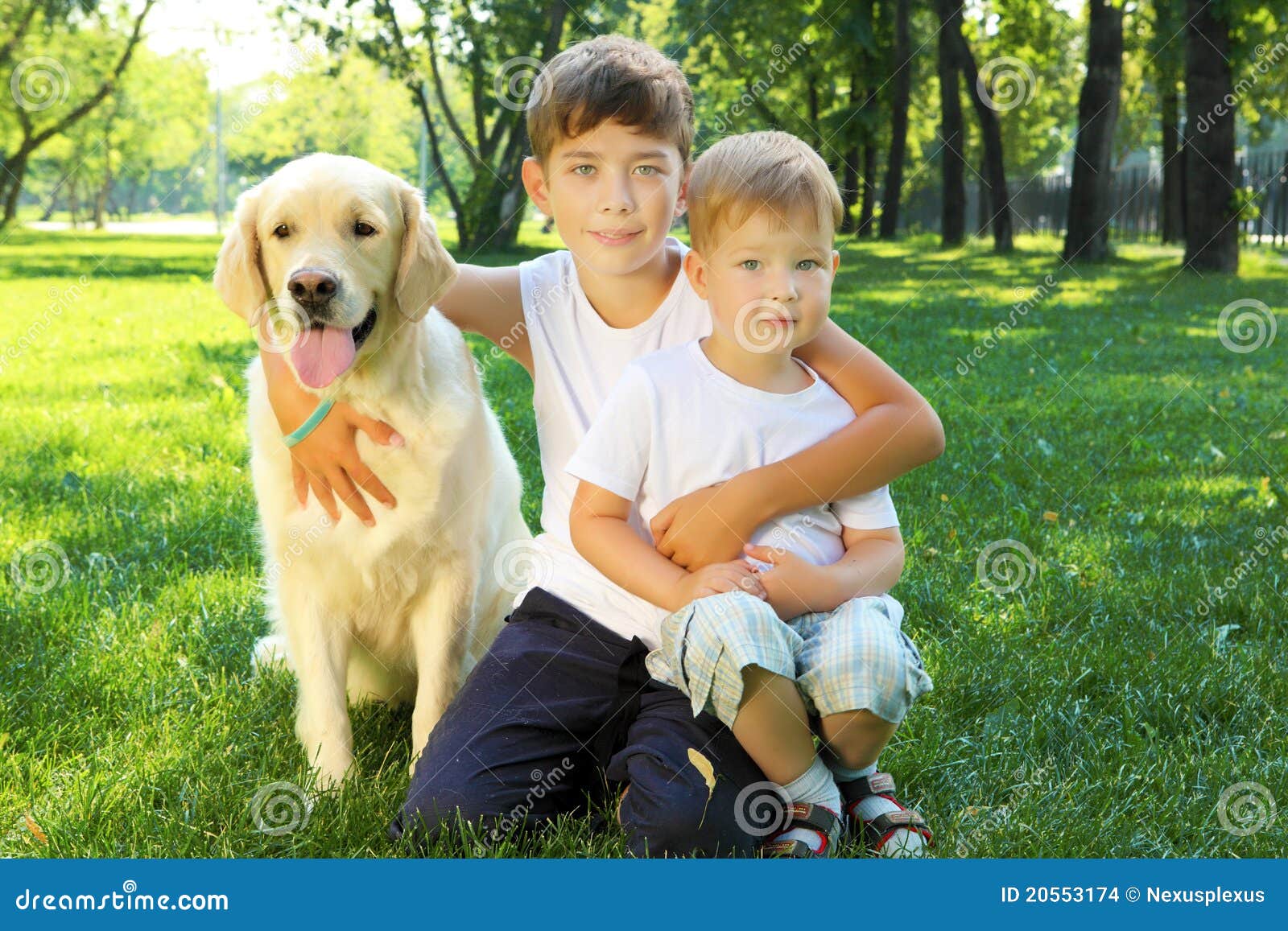 Two Brothers in the Park with a Dog Stock Photo - Image of male, golden ...