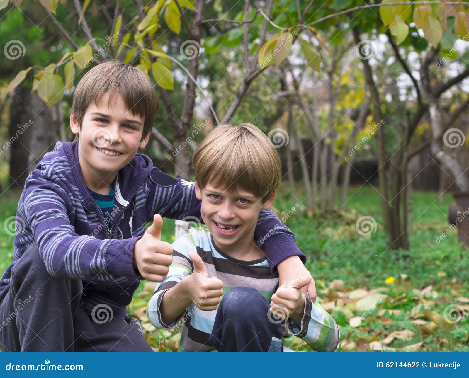 Two brothers playing stock photo. Image of happy, leaf - 62144622