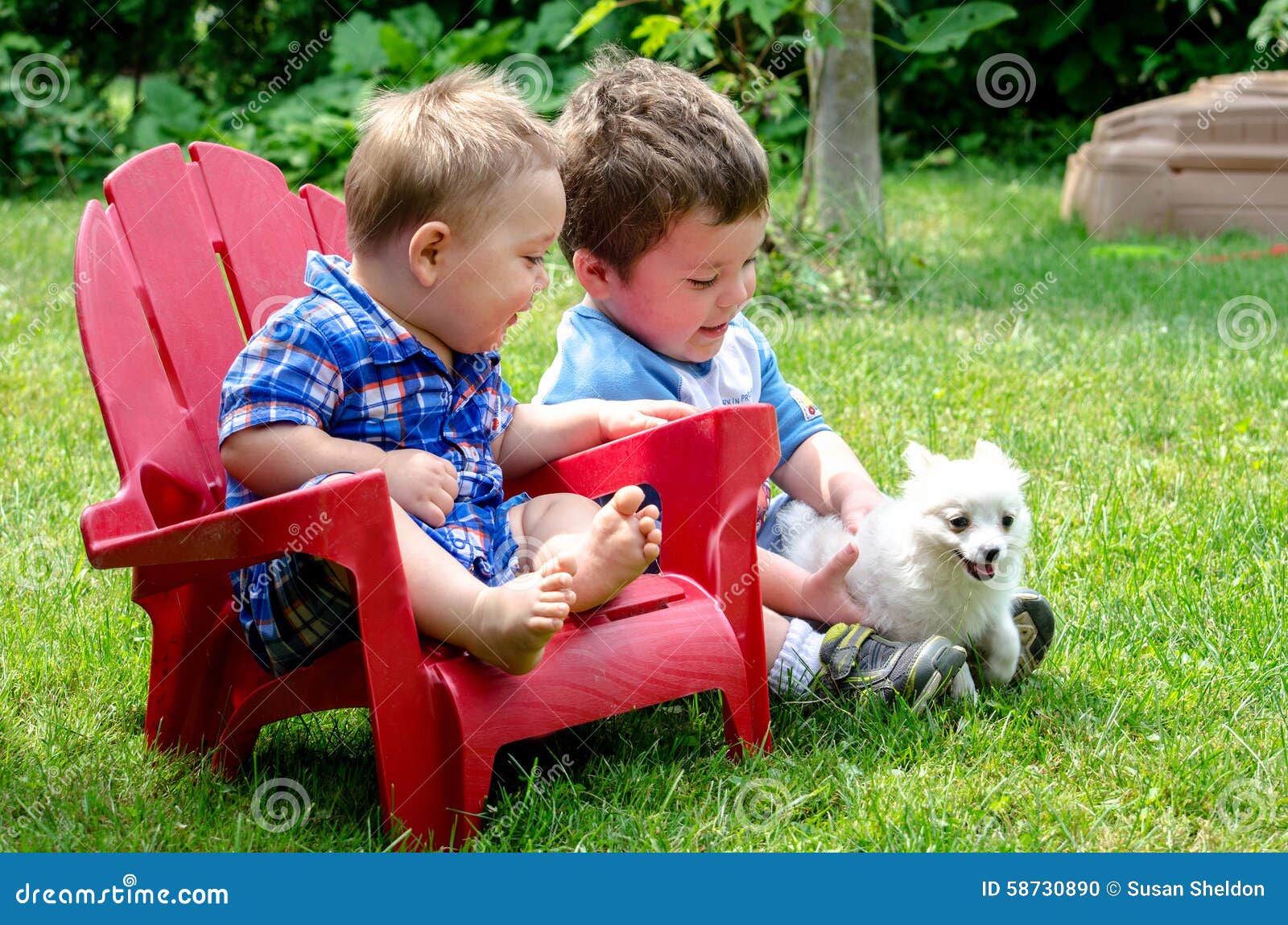 2,314 Brothers Puppy Stock Photos - Free & Royalty-Free Stock Photos ...