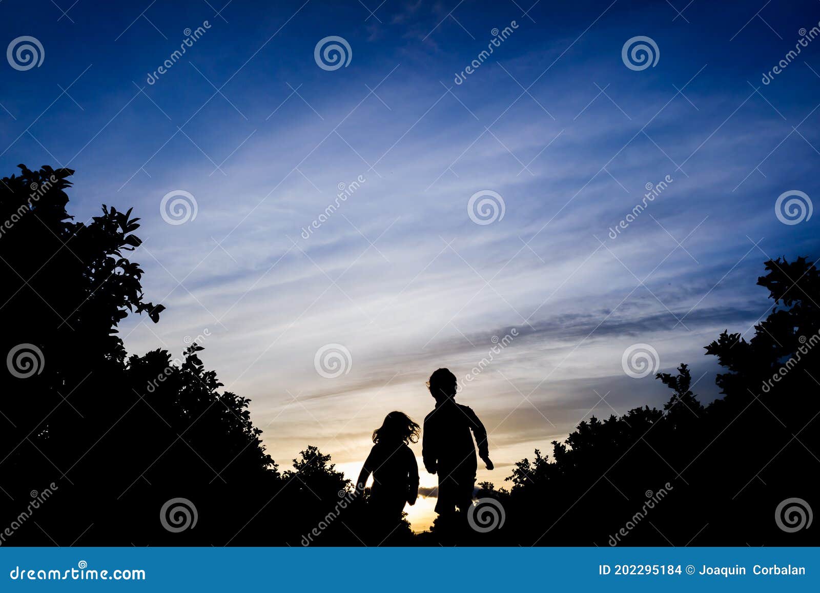 Two Brothers Run Together through a Field between Trees, at Sunset in ...