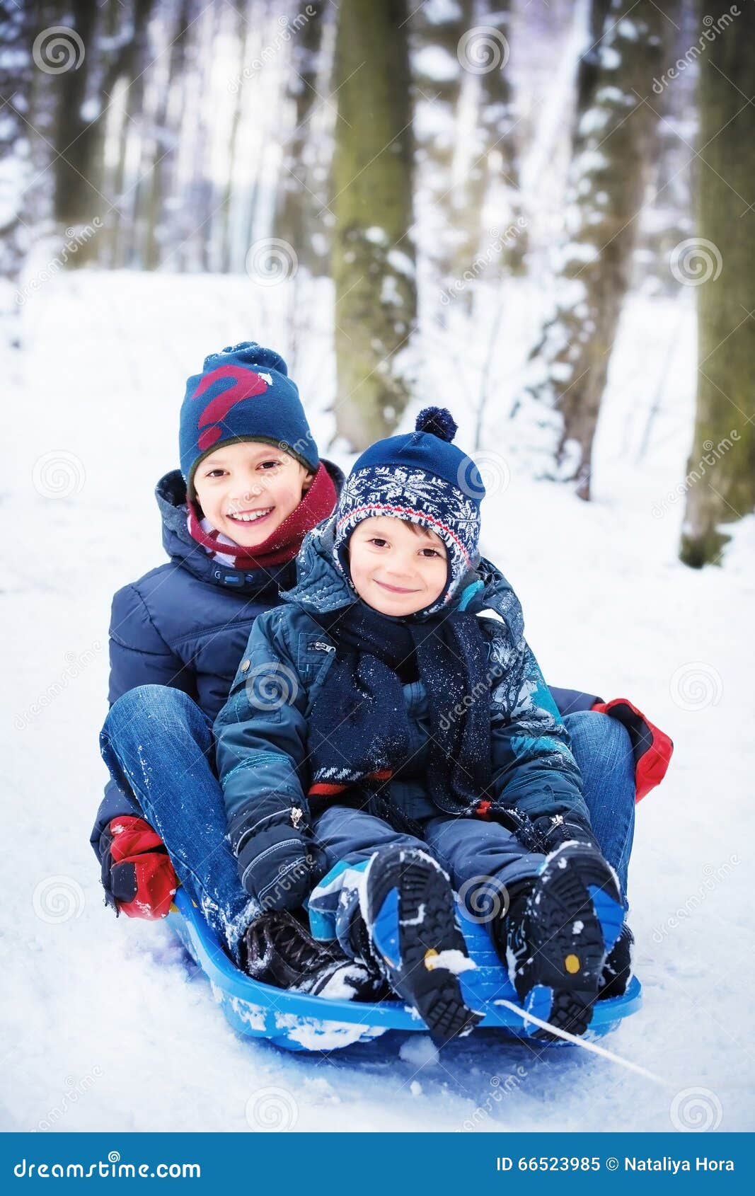 Two brothers on sled stock image. Image of nature, active - 66523985