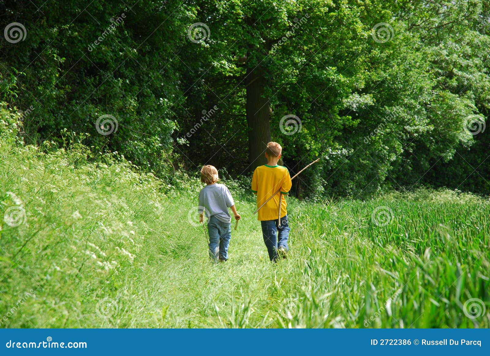 Two Brothers Walk stock photo. Image of happiness, activity - 2722386