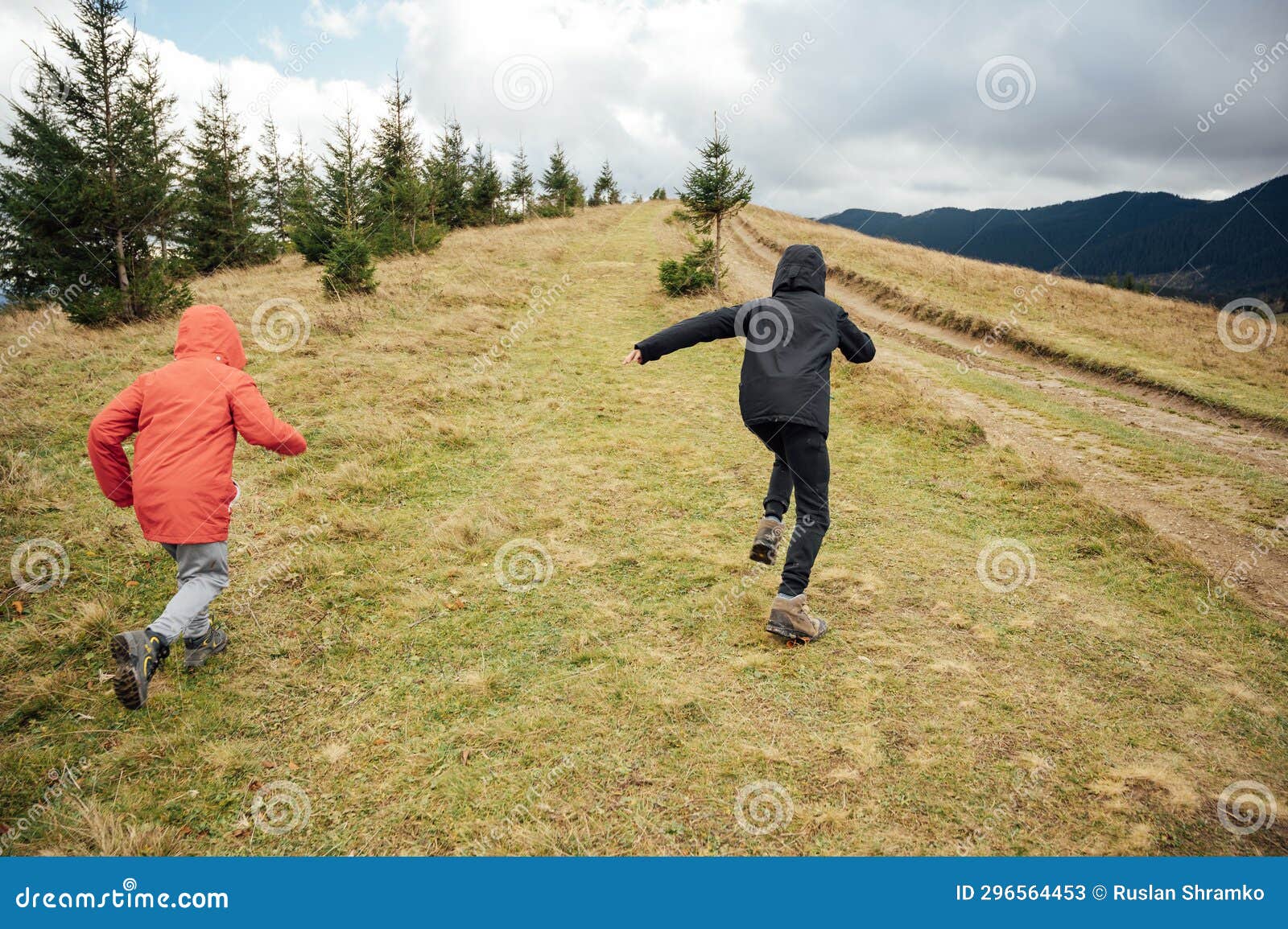 Two Brothers are Walking on Mountains in Ukraine Stock Image - Image of ...