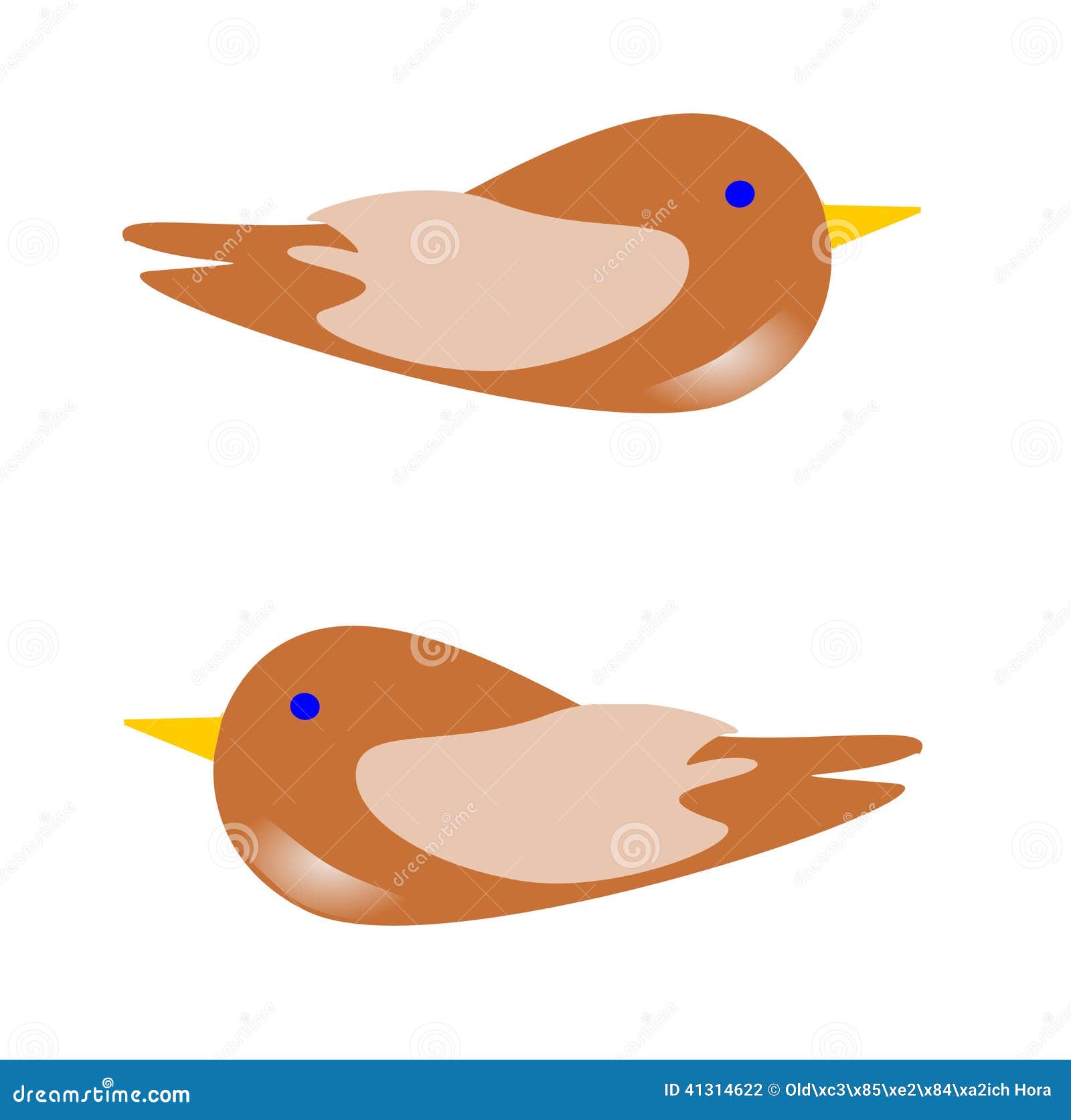 Brown Nightingale Standing Isolated On White Background. Side View ...