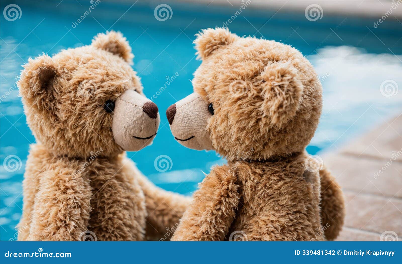 Two Teddy Bears Facing Each Other by a Pool Stock Illustration ...