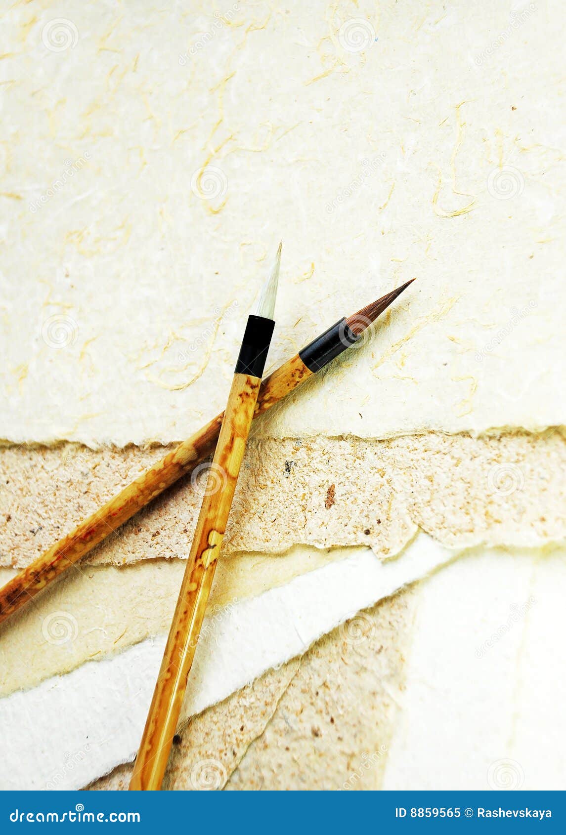 Two brushes on a paper stock image. Image of equipment - 8859565