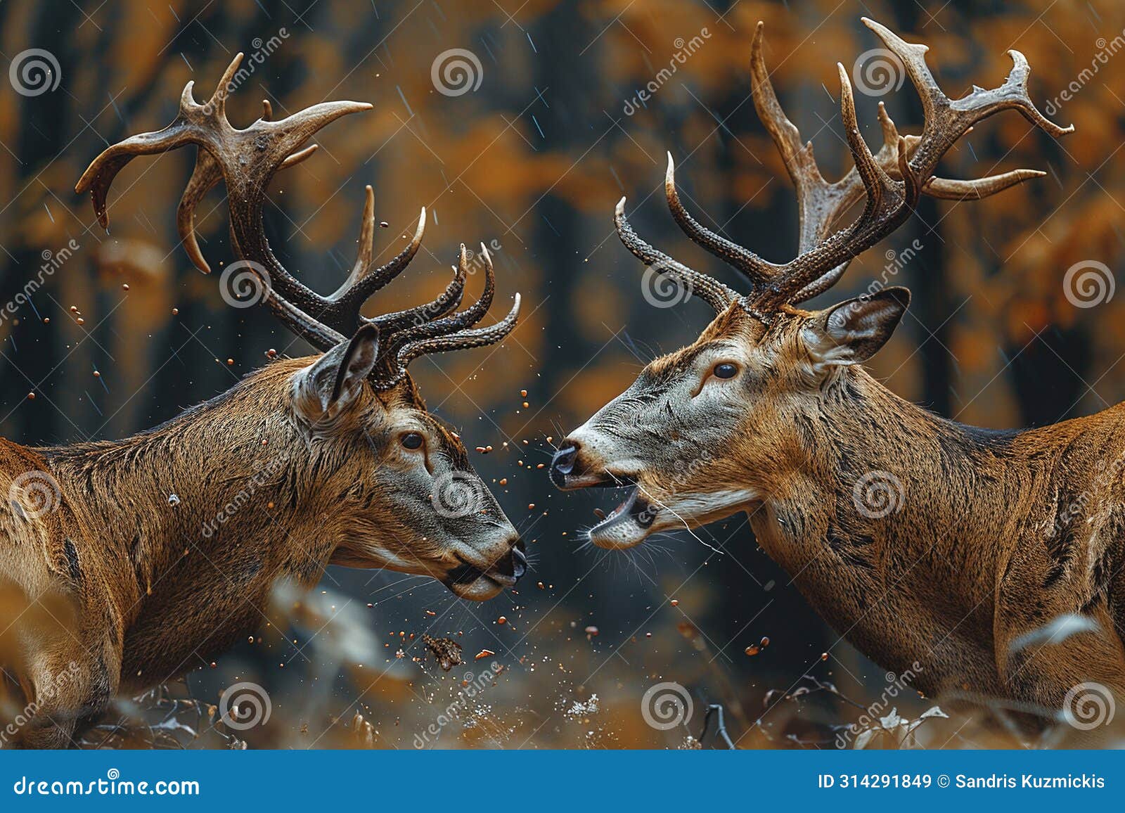 Two Bucks Fighting Each Other. Generative AI. Stock Illustration ...