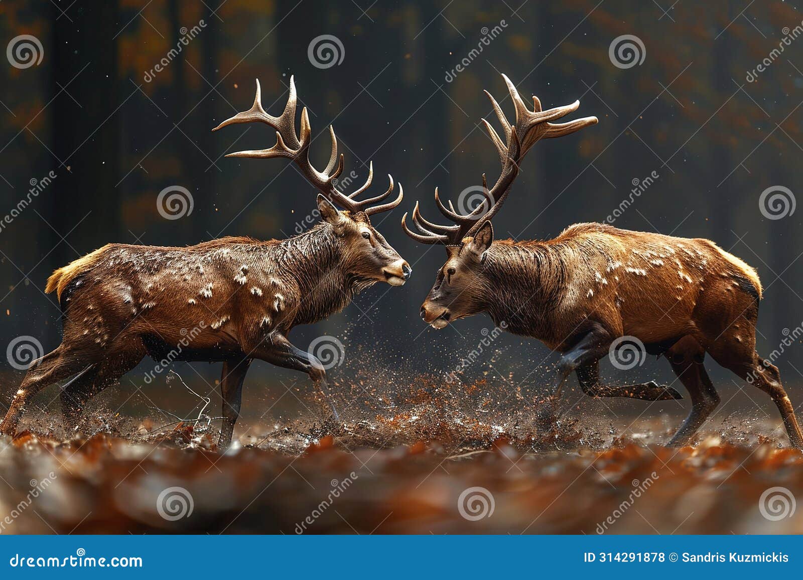 Two Bucks Fighting Each Other. Generative AI. Stock Illustration ...