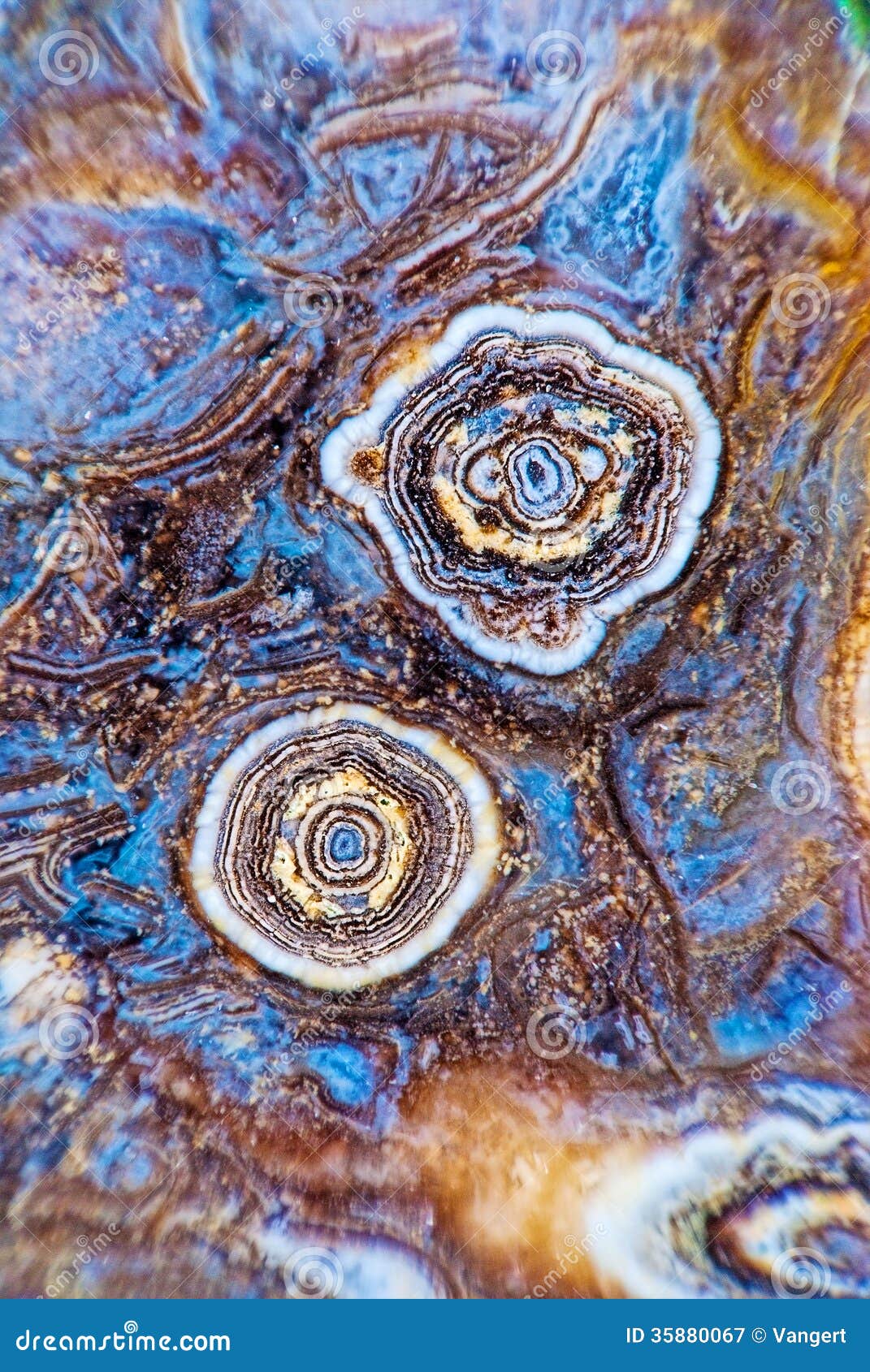 Two Buds of Agate stock image. Image of motley, miner - 35880067