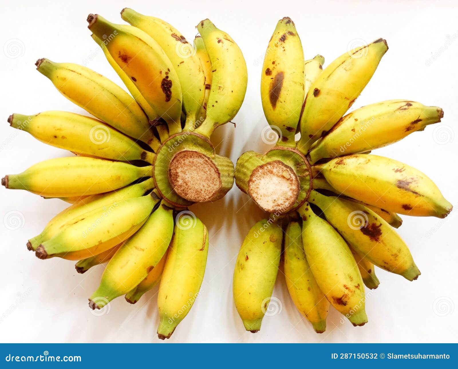 Two Bunches of Ripe Bananas Stock Photo - Image of bunches, peel: 287150532