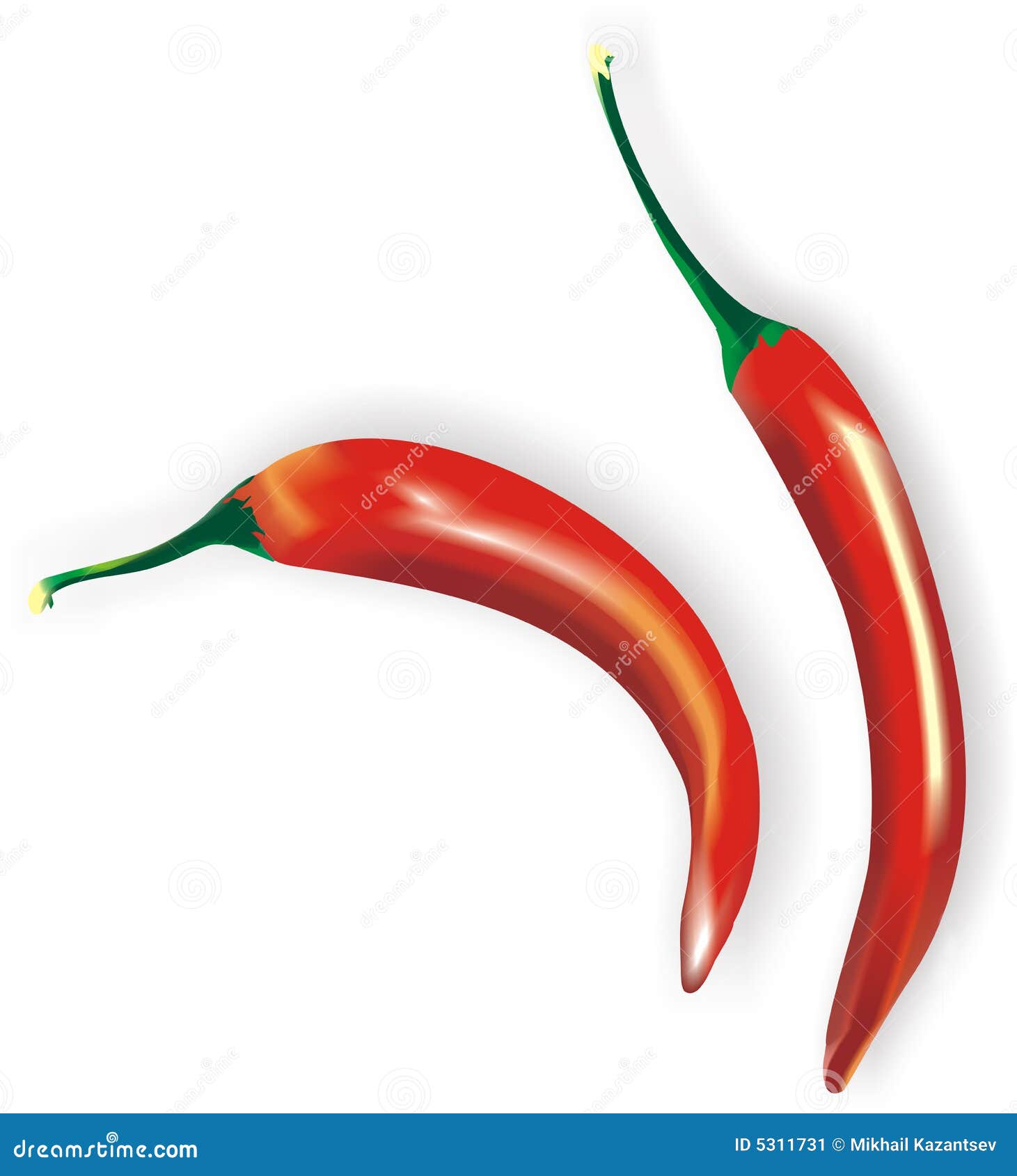 Two burning pepper stock illustration. Illustration of chili - 5311731