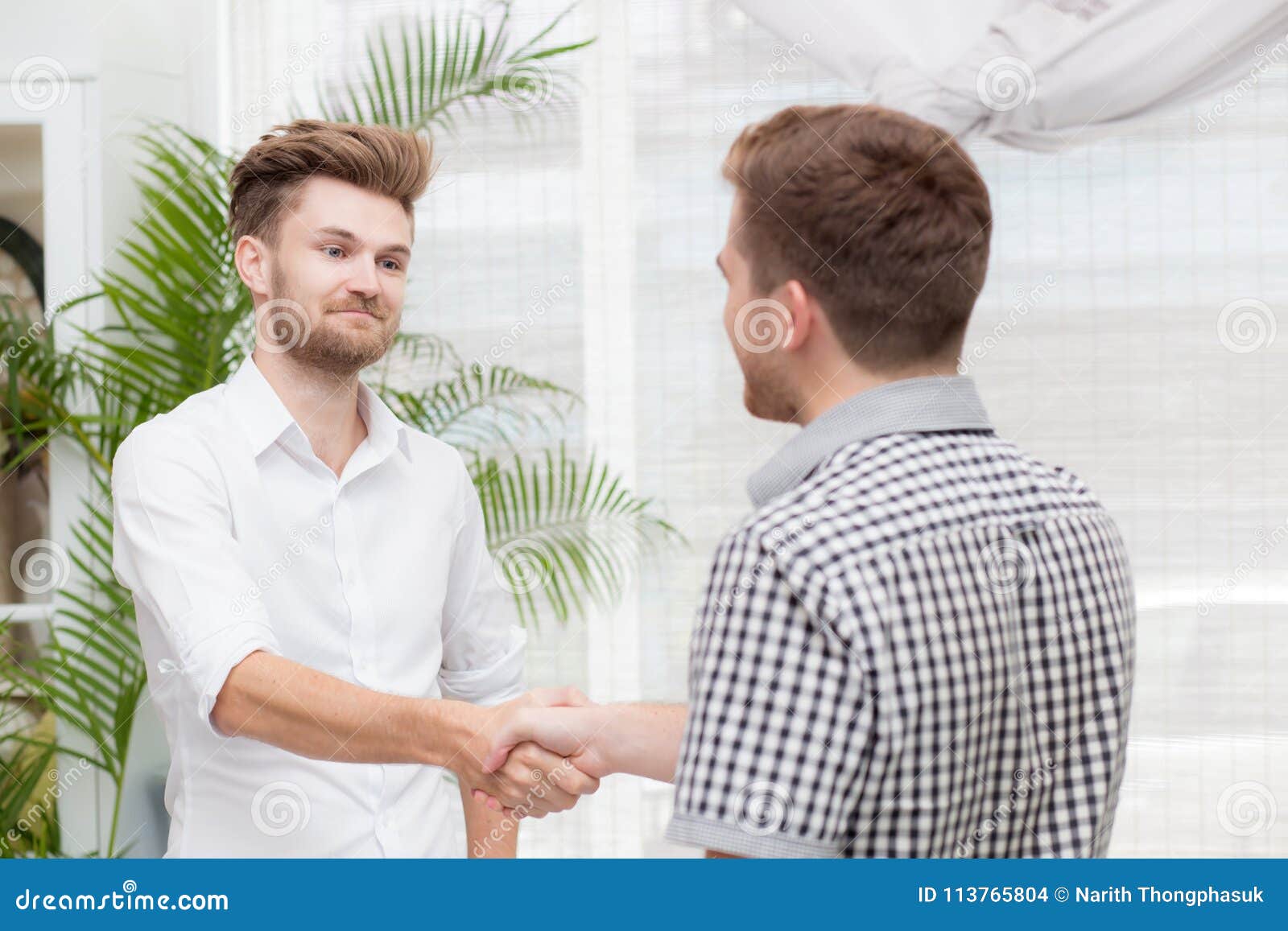 Two Business Colleagues Handshake during Meeting. Stock Photo - Image ...