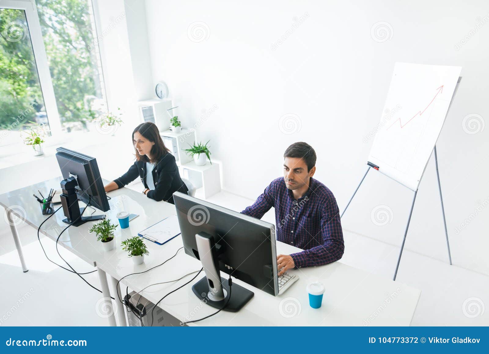 Two Business People Working on Computer in the Office Stock Photo ...