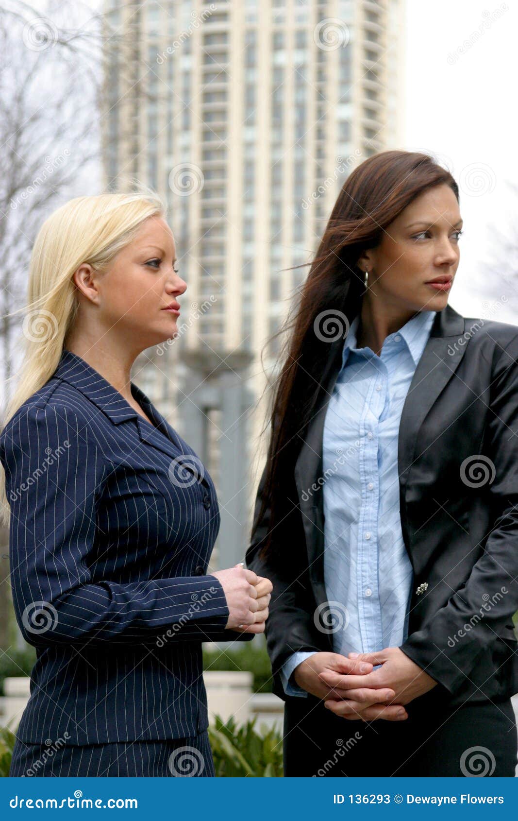 Two Business Women stock image. Image of woman, dialog - 136293