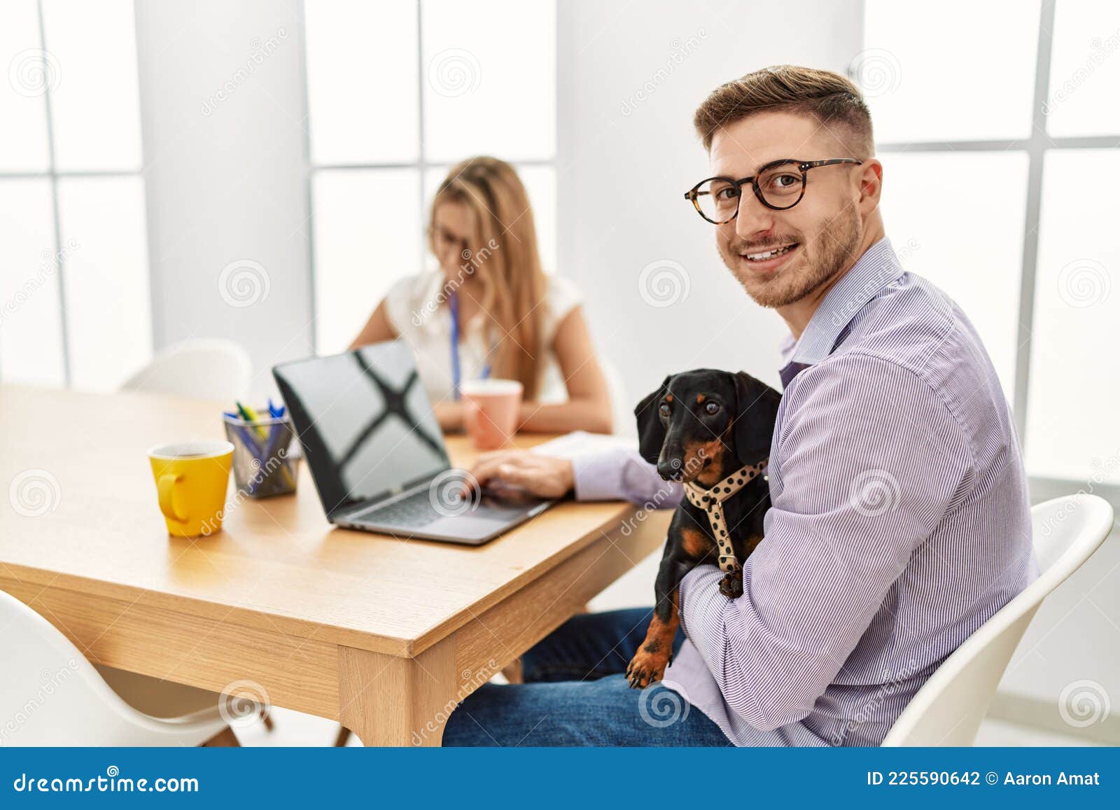 Two Business Workers Smiling Happy Working with Dog at the Office Stock ...
