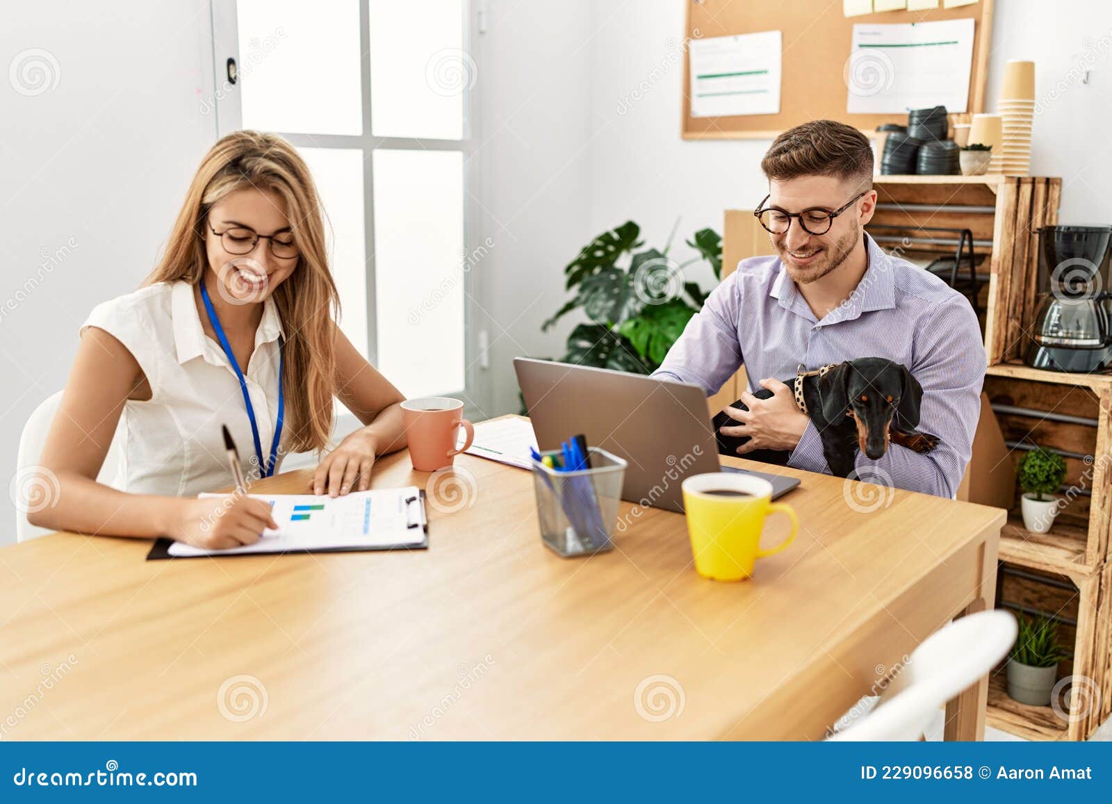 Two Business Workers Smiling Happy Working with Dog at the Office Stock ...