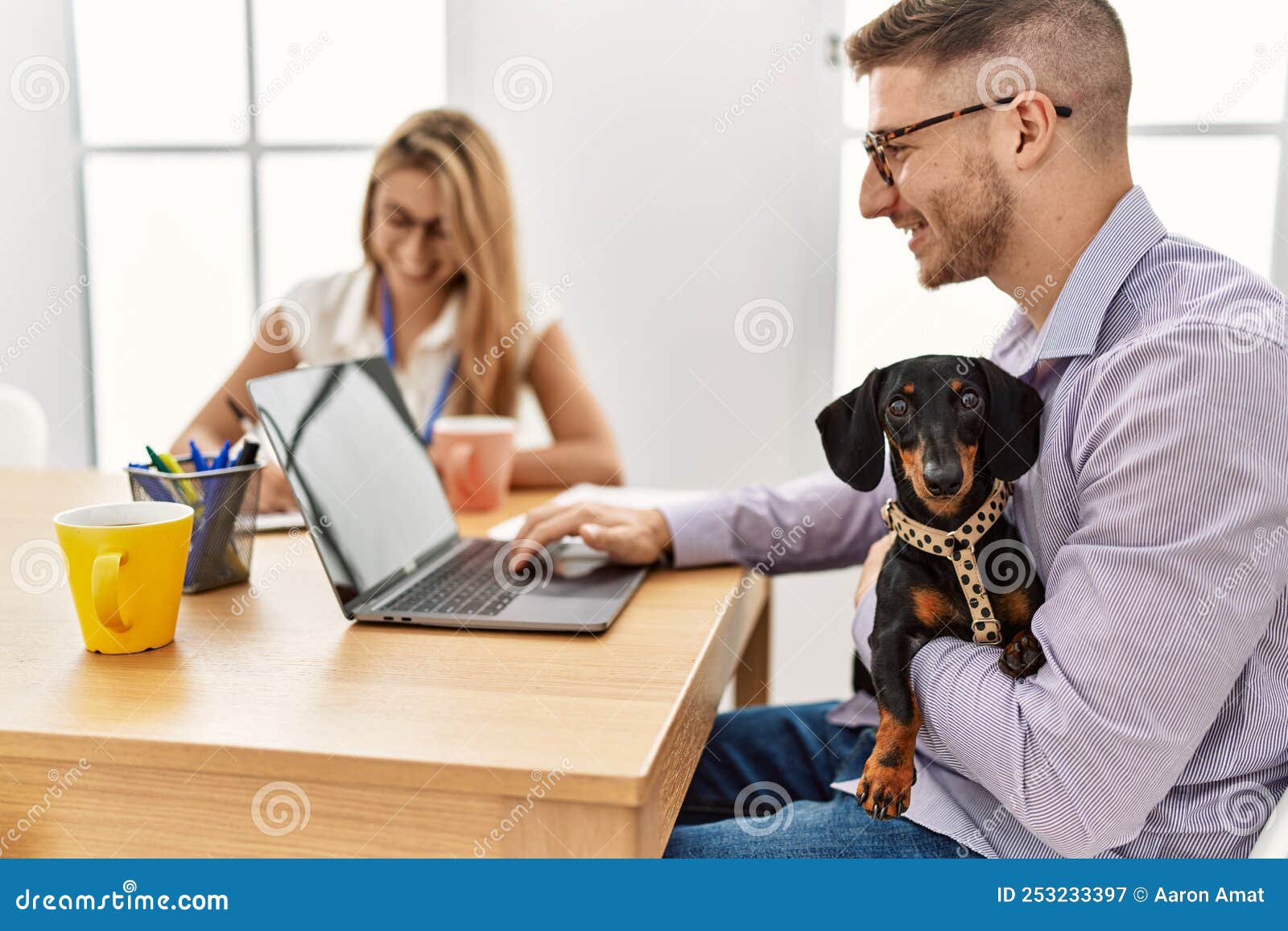 Two Business Workers Smiling Happy Working with Dog at the Office Stock ...