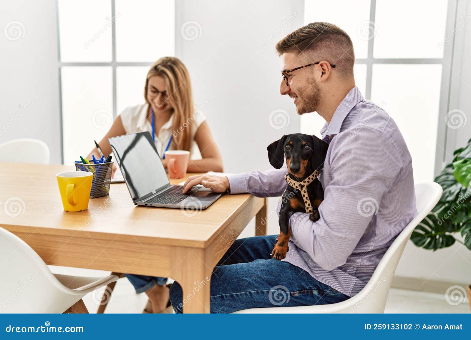 Two Business Workers Smiling Happy Working with Dog at the Office Stock ...