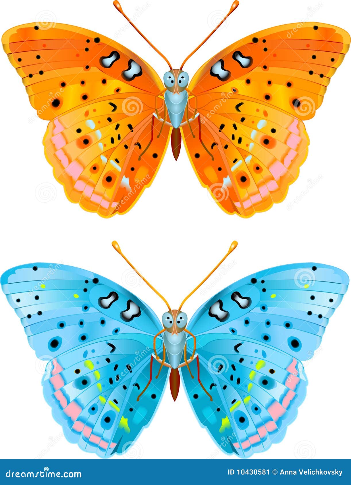 Two butterflies stock vector. Illustration of orange - 10430581