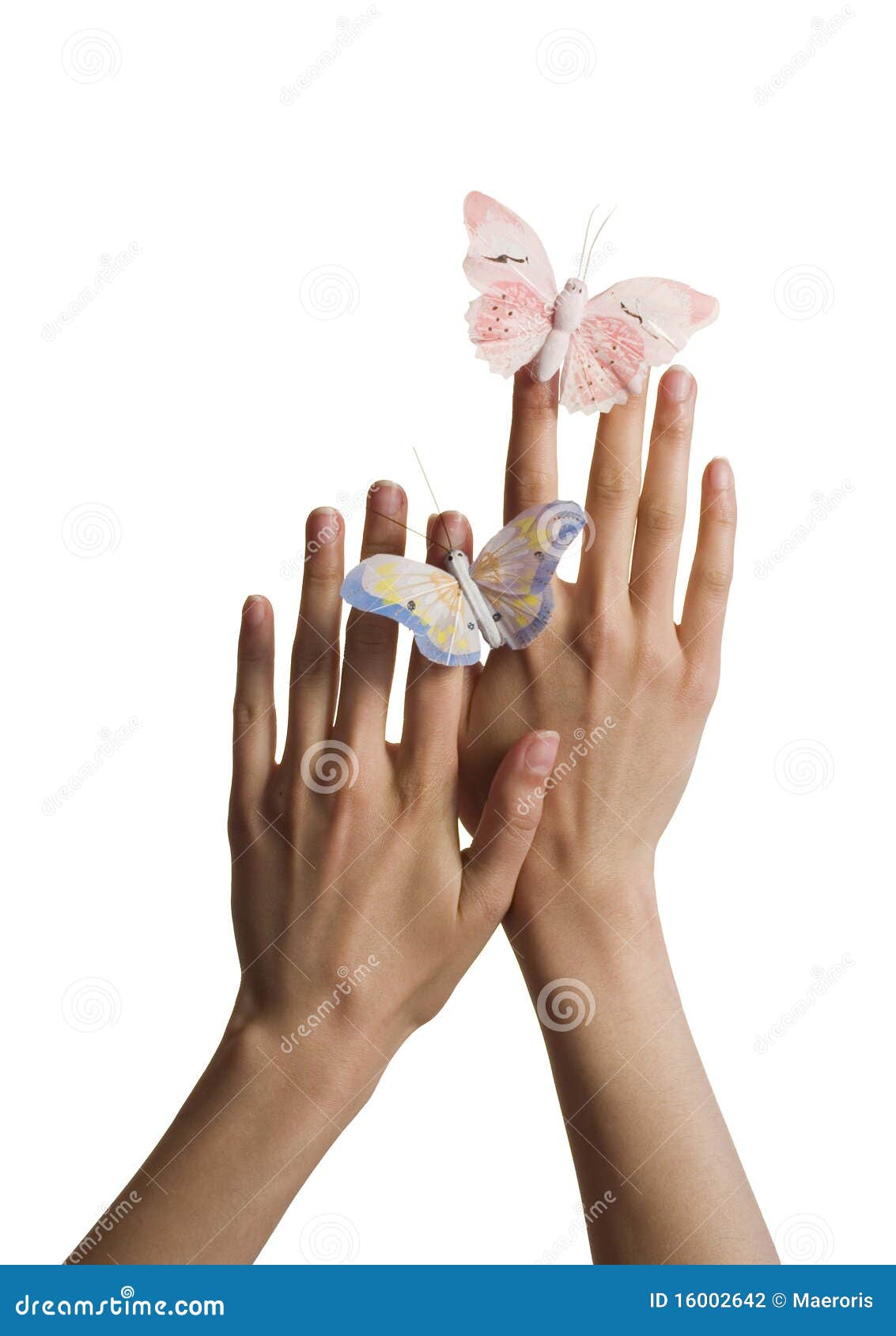 Two Butterflies on Hands Isolated on White Stock Photo - Image of hand ...