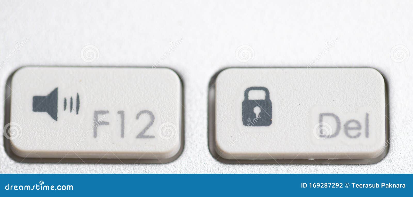 Two Buttons Close Up Computer White Keyboard, Function, F12 Function ... Two Buttons Close Up Computer White Keyboard, Function, F12 Function ...