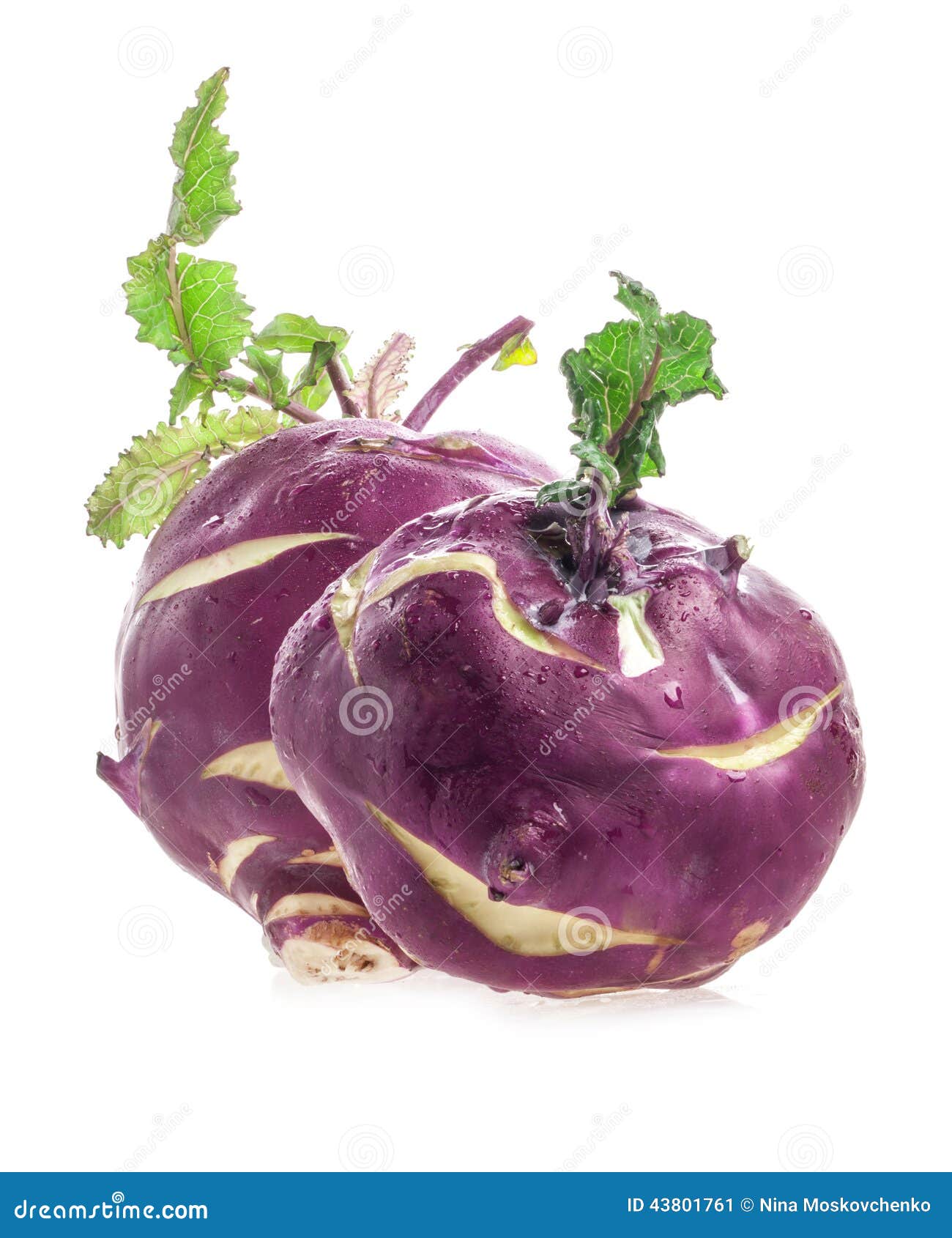 Two Cabbage kohlrabi stock image. Image of cuisine, healthy - 43801761