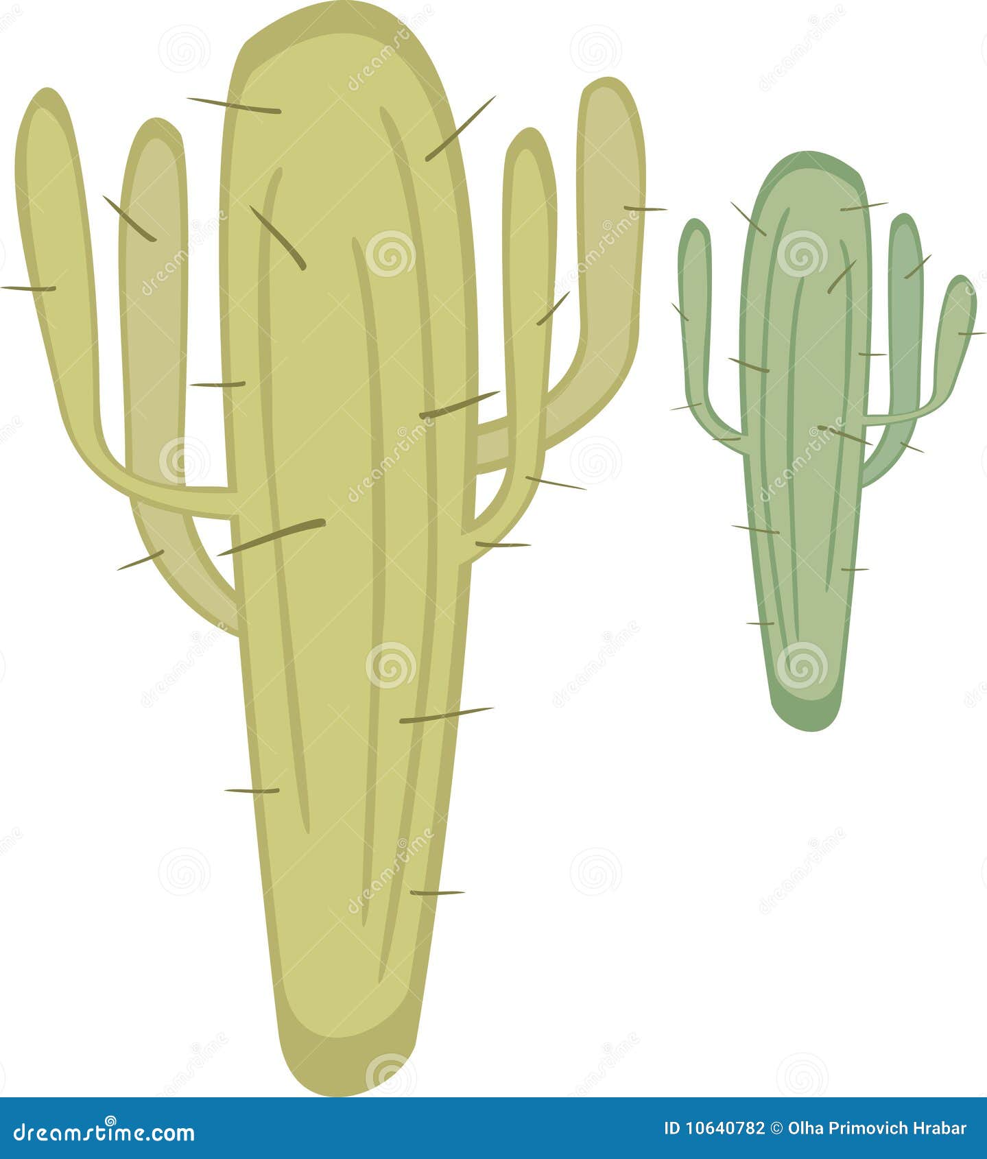 Two cactuses with spikes stock vector. Illustration of california ...