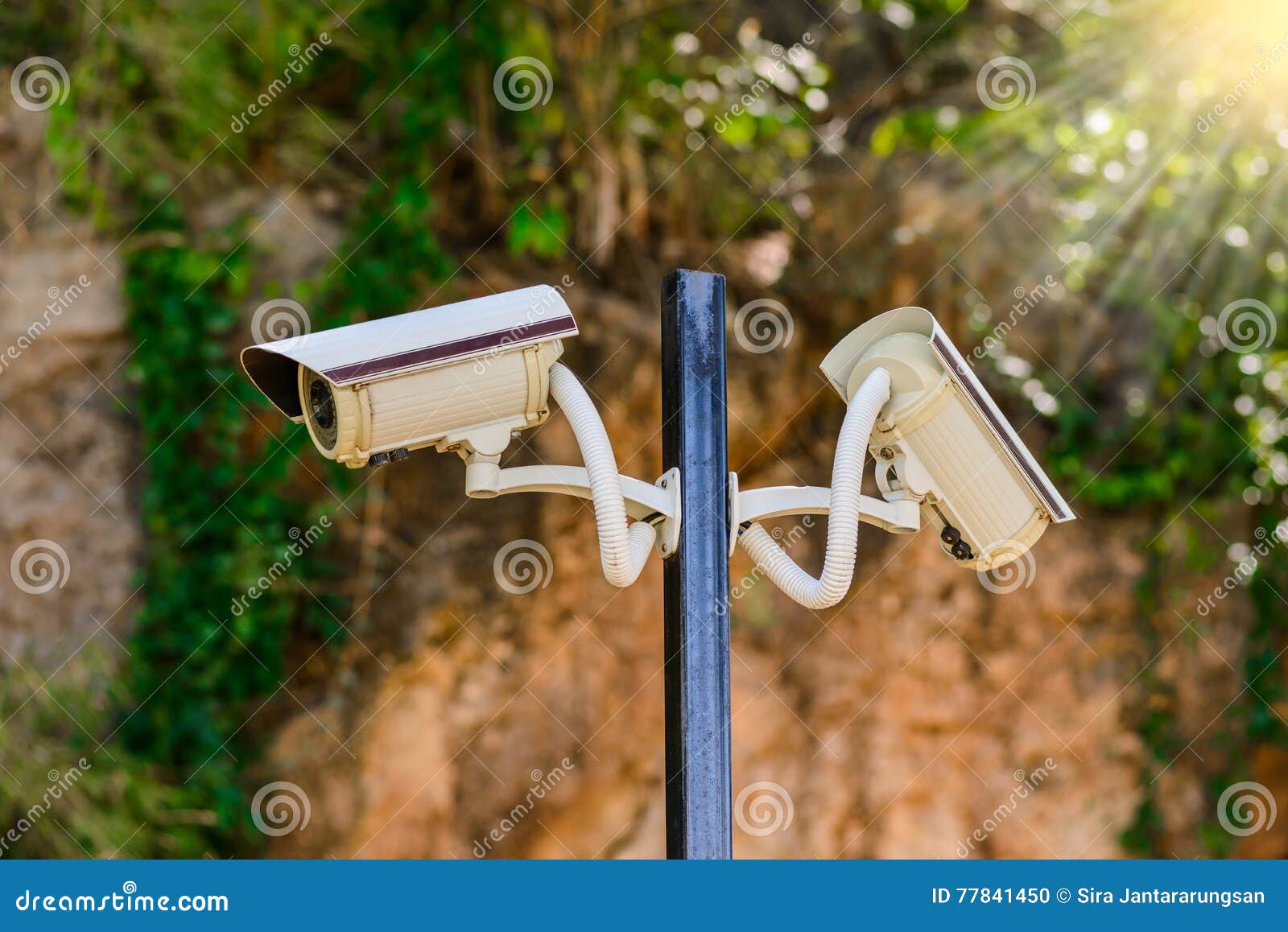 Two camera cctv stock photo. Image of outdoor, protect - 77841450