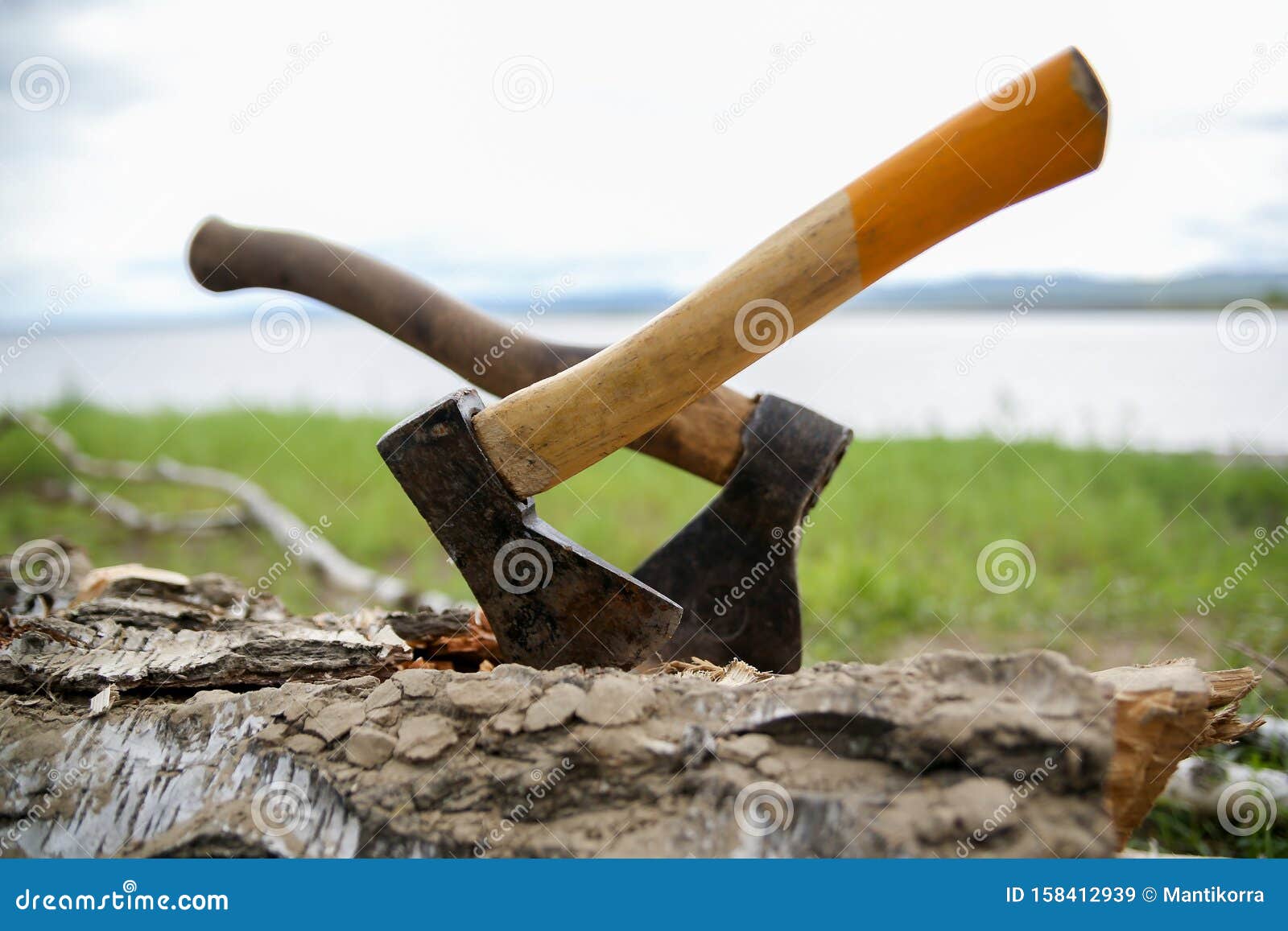 Two Camping Axes Stuck in a Tree Stock Image - Image of hack, camping ...