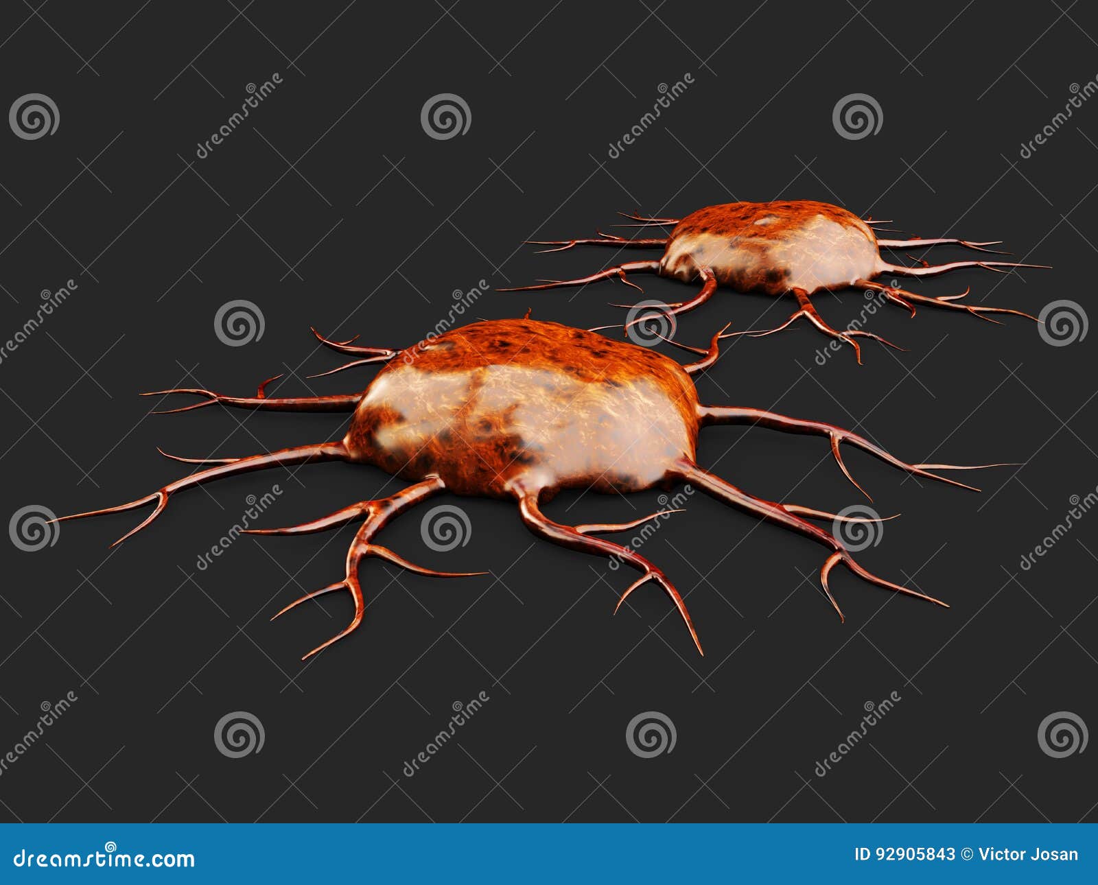 Two Cancer Cells, Isolated Dark Background, 3d Illustration Stock ...
