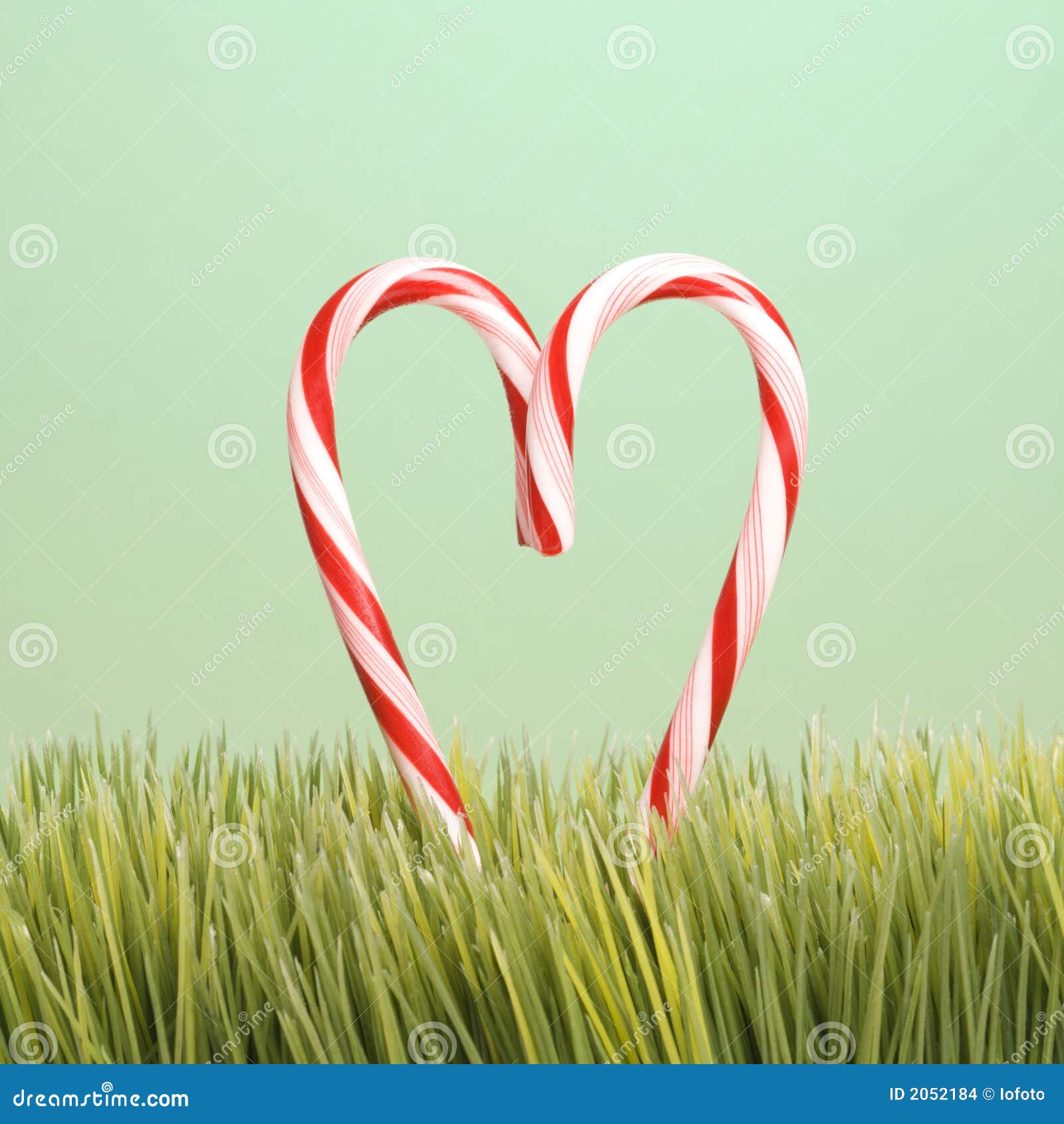 Two candy canes in grass. stock photo. Image of objects - 2052184
