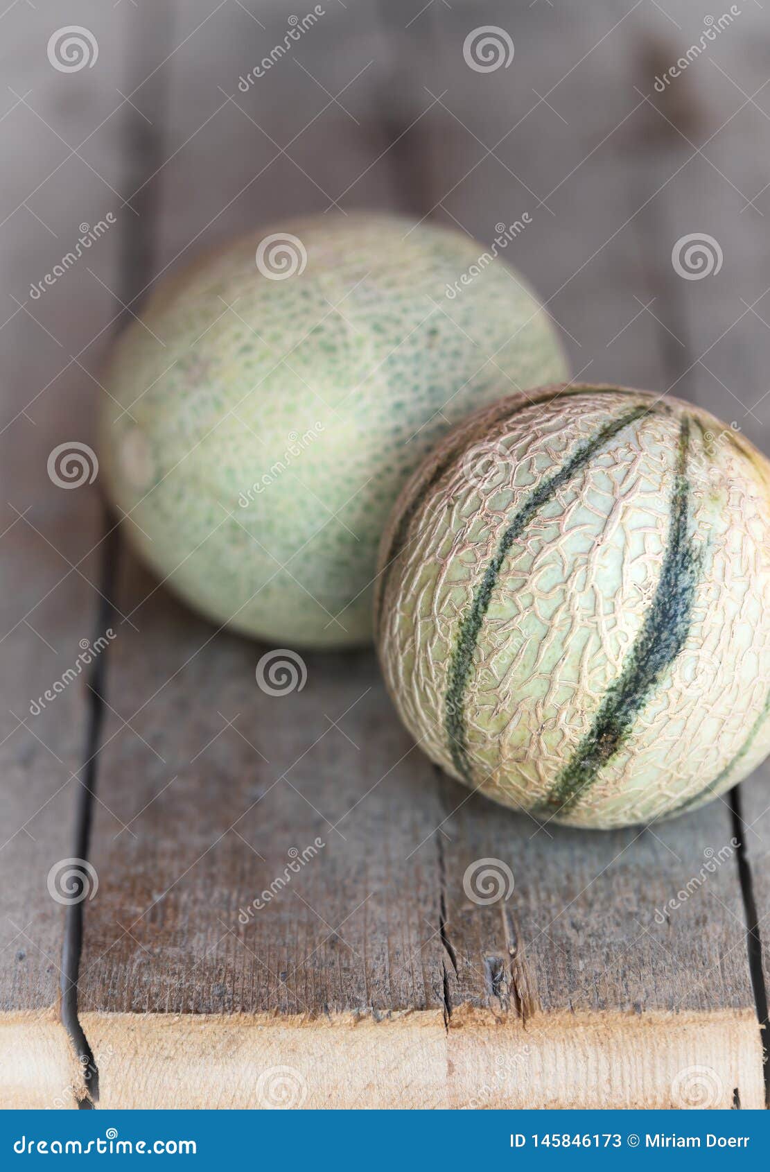 Two Melons Stock Photos - Download 399 Royalty Free Photos