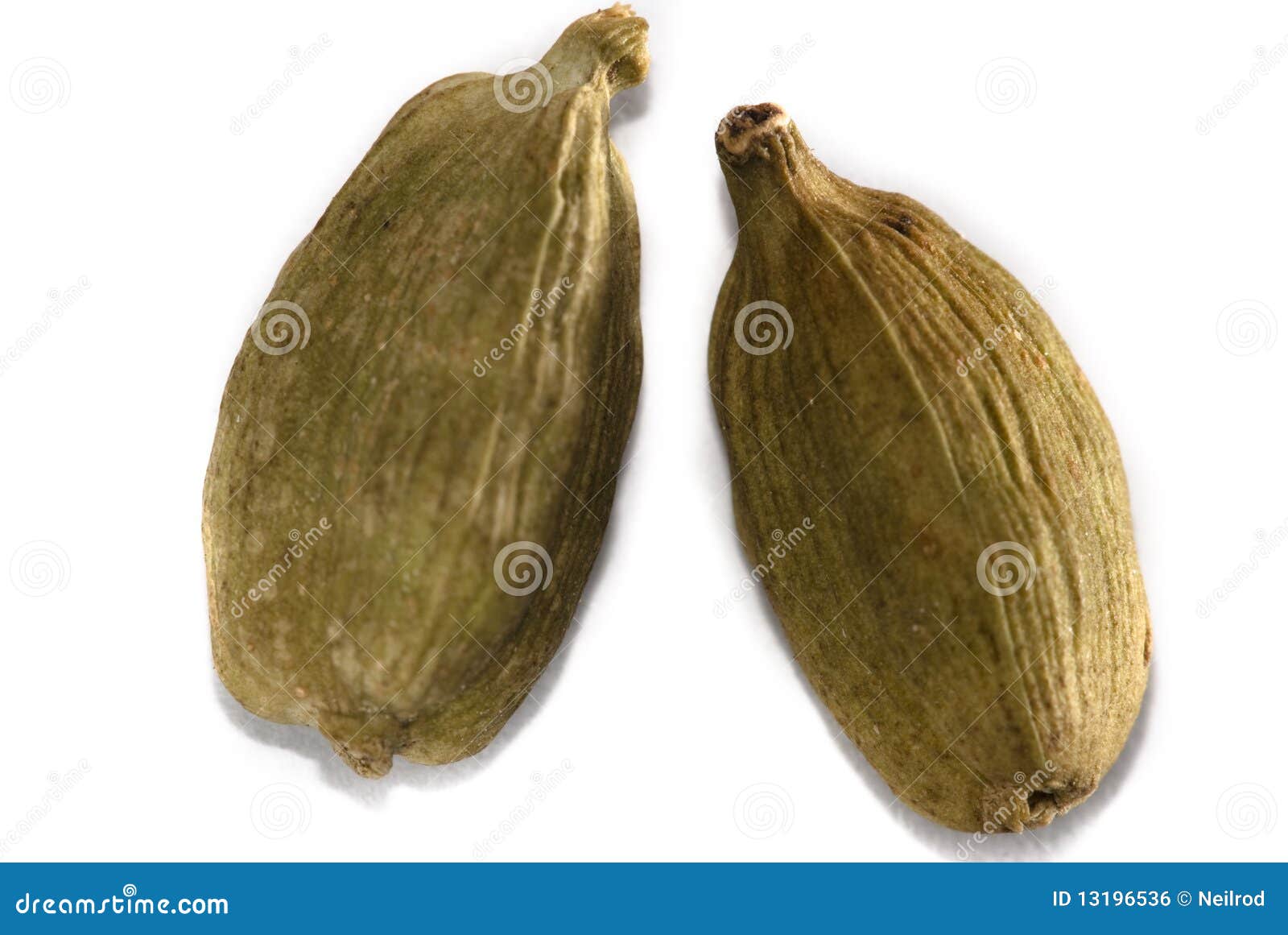 Two cardamom stock photo. Image of curry, spices, herbal - 13196536