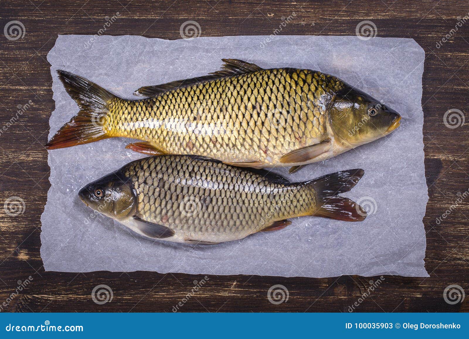 Two Carp Fish on Wooden Background, Close Up Stock Image - Image of ...