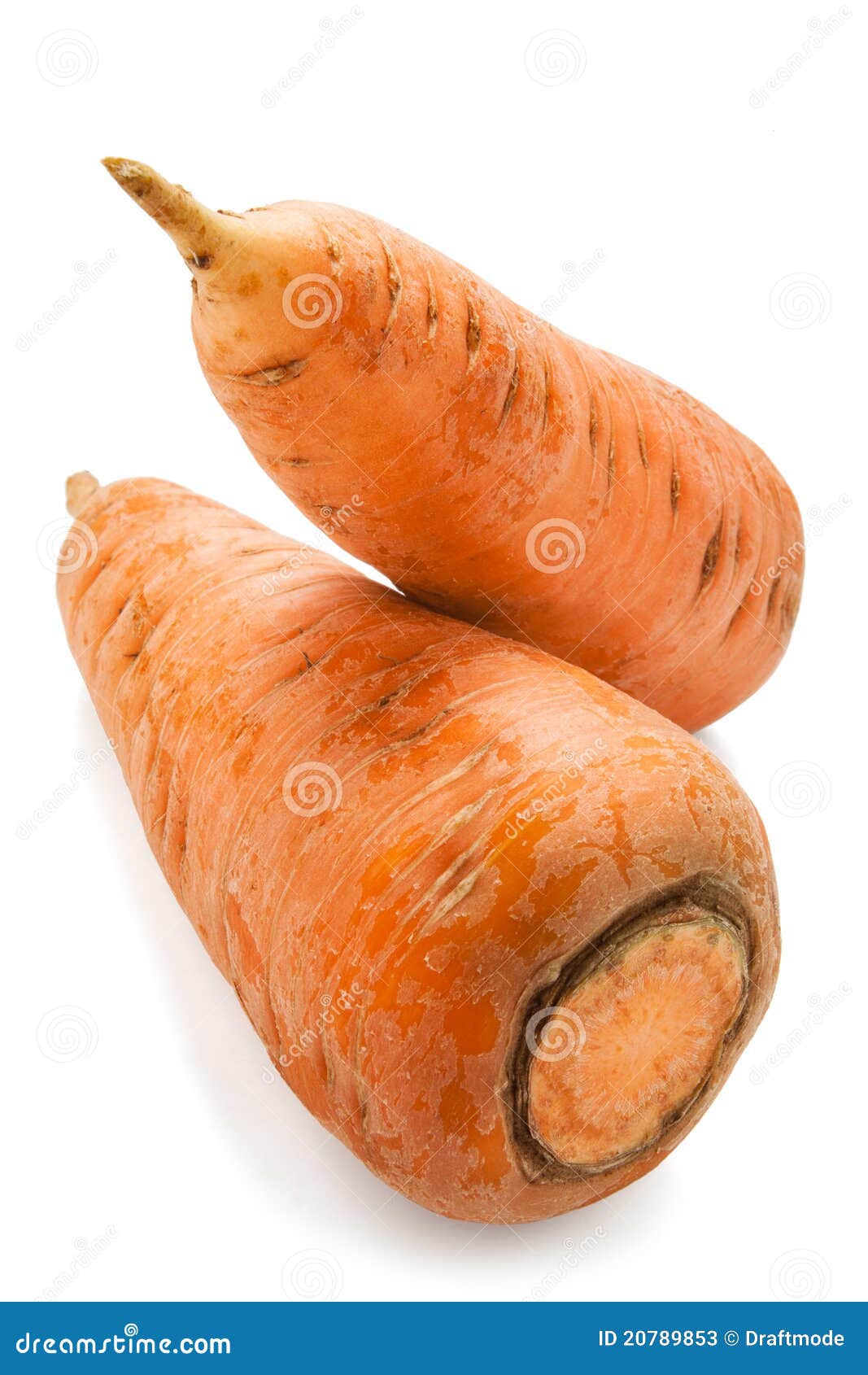 Two carrots stock image. Image of eating, detail, healthy - 20789853