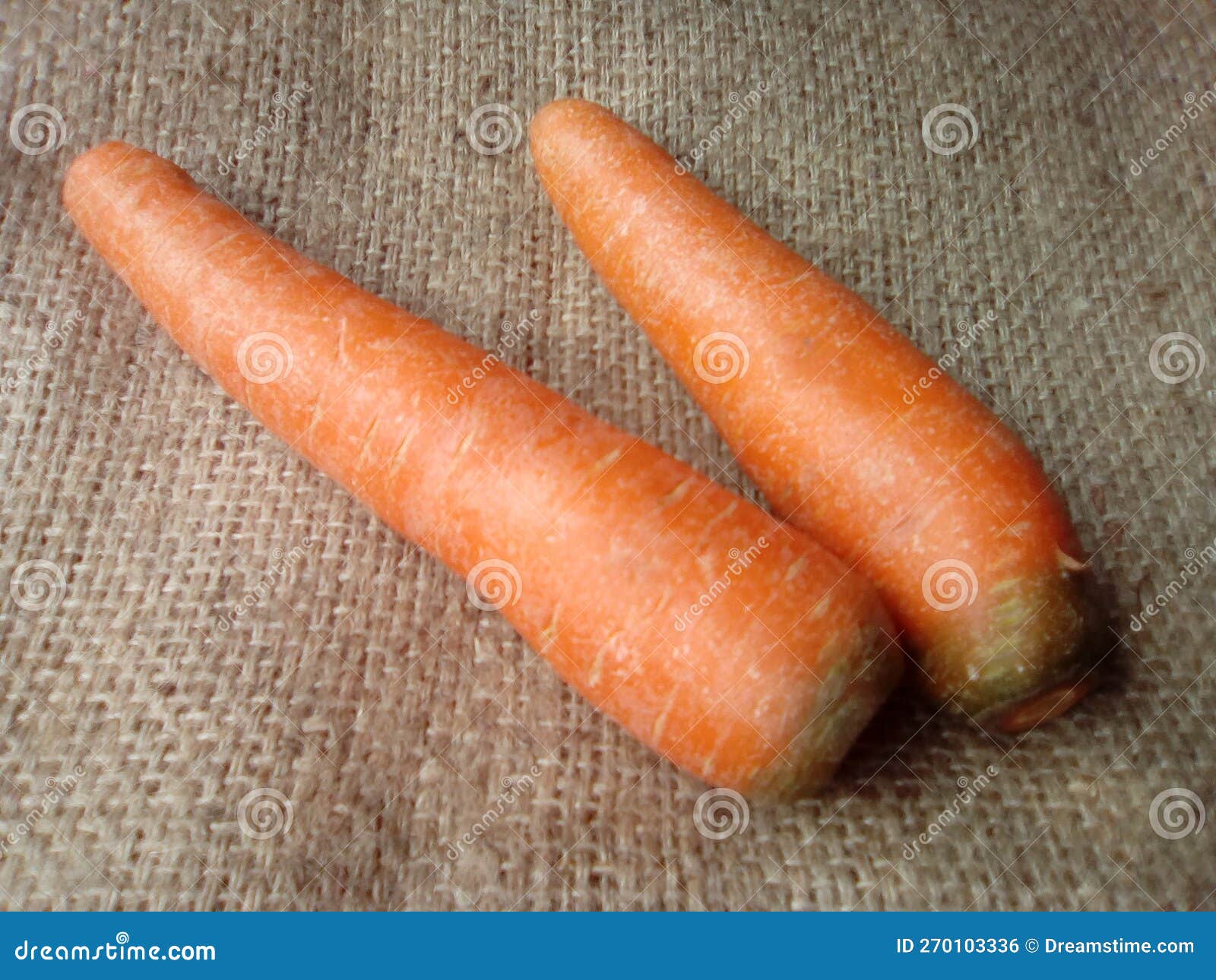 Two Carrots in a Fresh Orange Color Stock Photo - Image of dessert ...