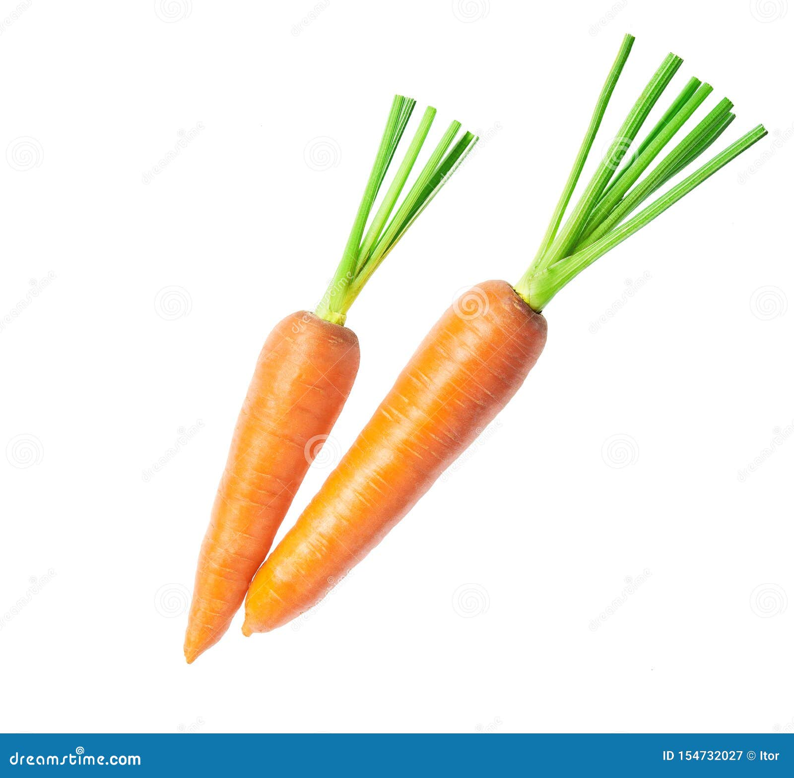 Two Carrots Isolated on White Background. Full Depth of Field Stock ...