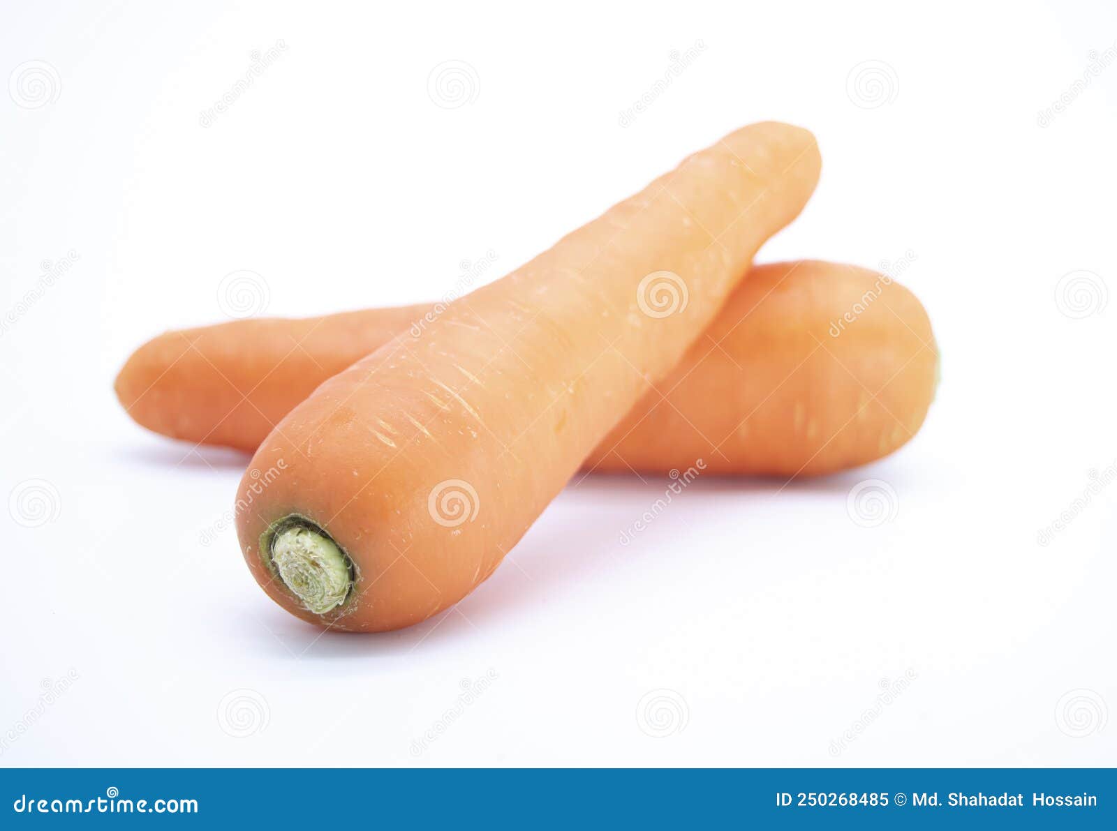 Two Carrots Isolated on White Background Stock Image - Image of plant ...