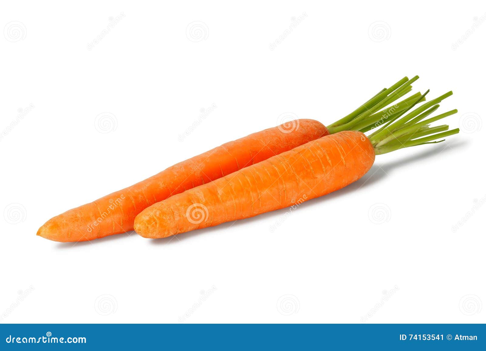 Two carrots on white stock image. Image of healthy, cooking - 74153541